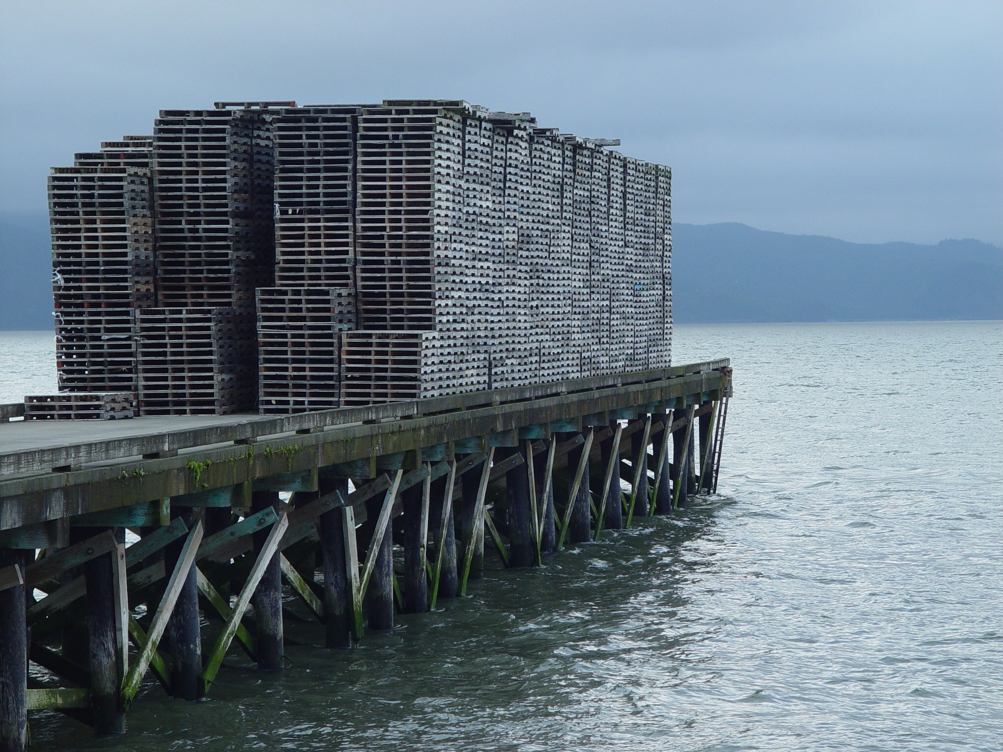 Waterfront Pier Wood free image download
