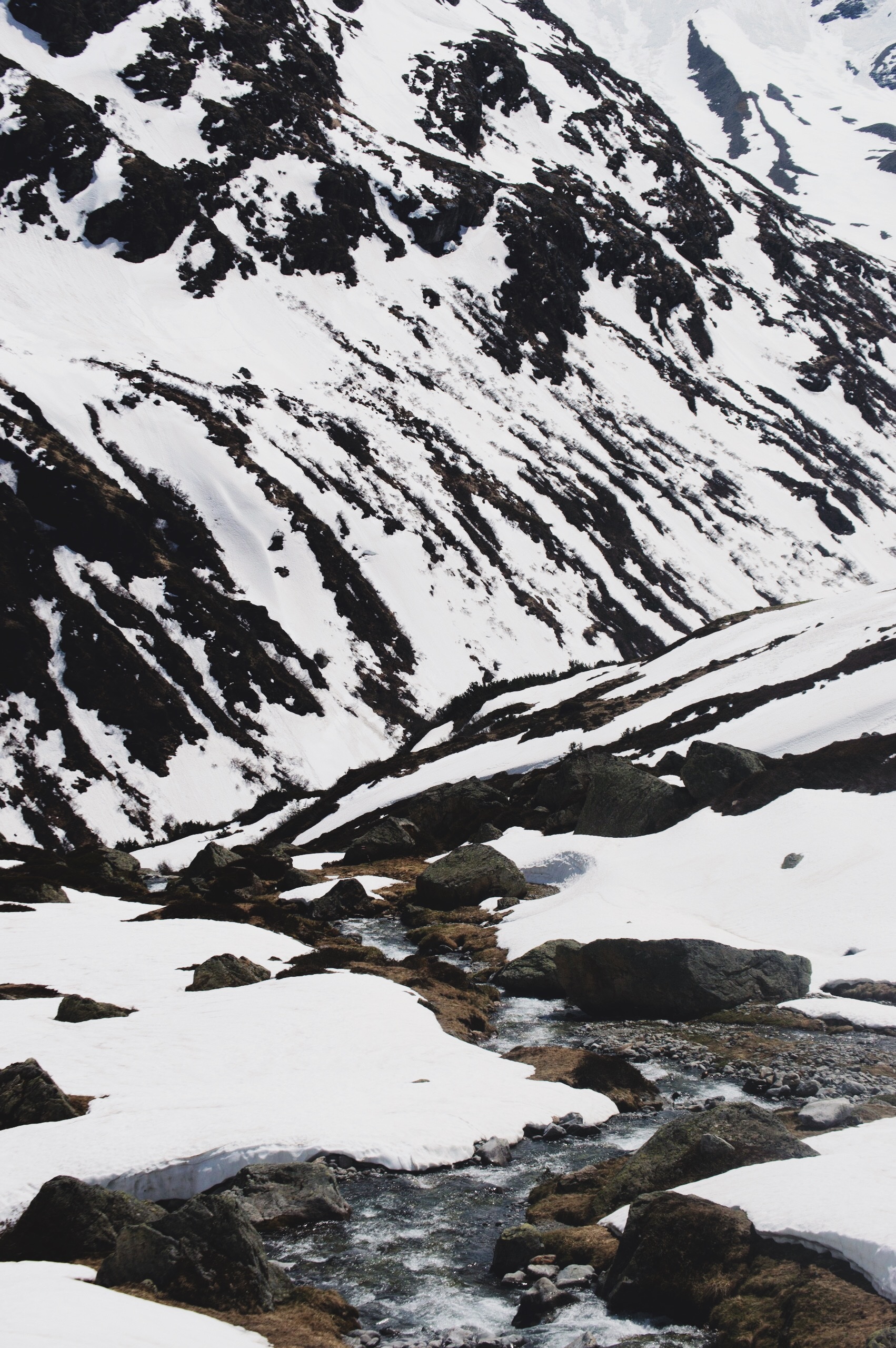 Alps Switzerland Snow free image download
