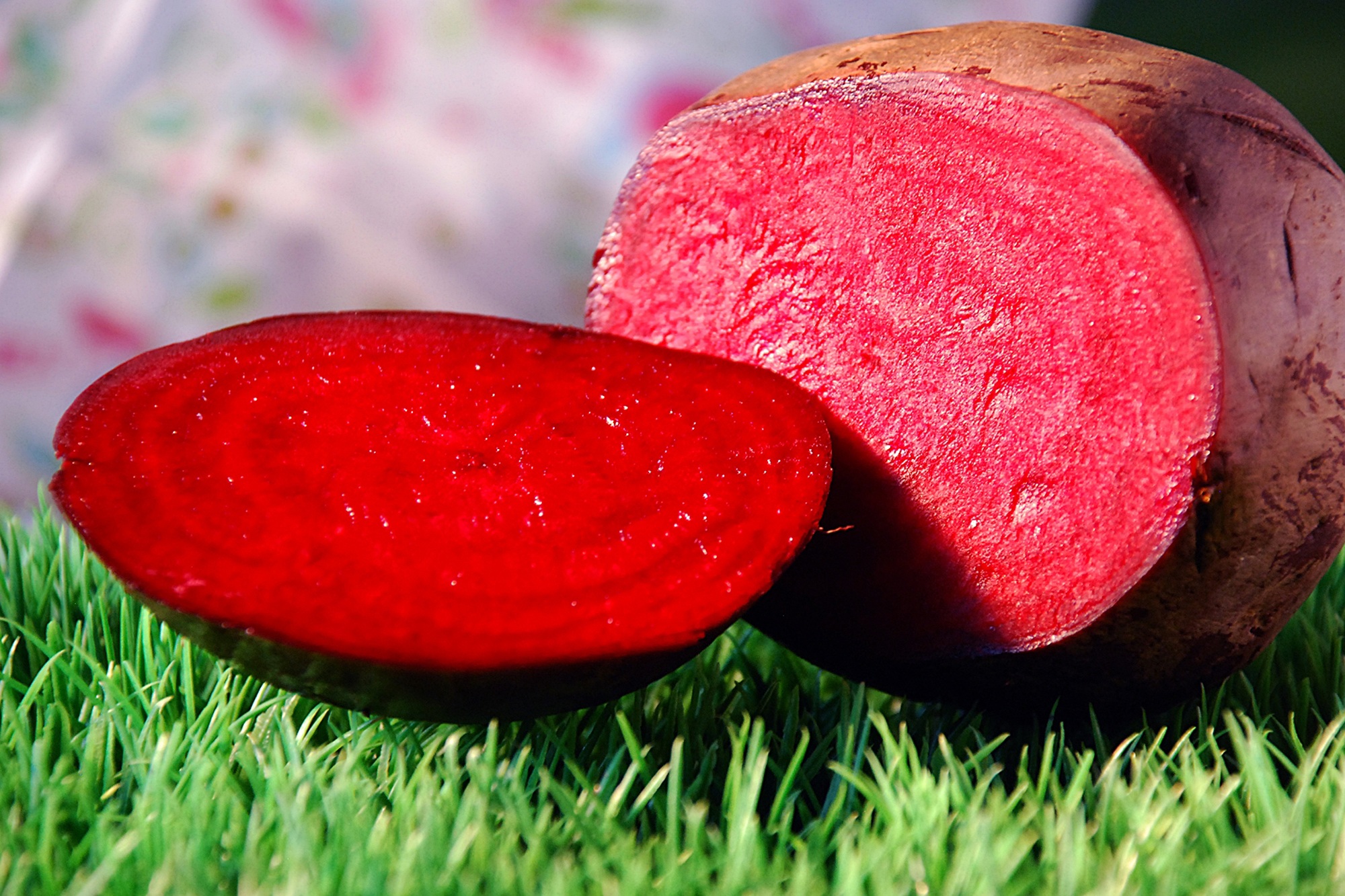 Beets Grass Red free image download