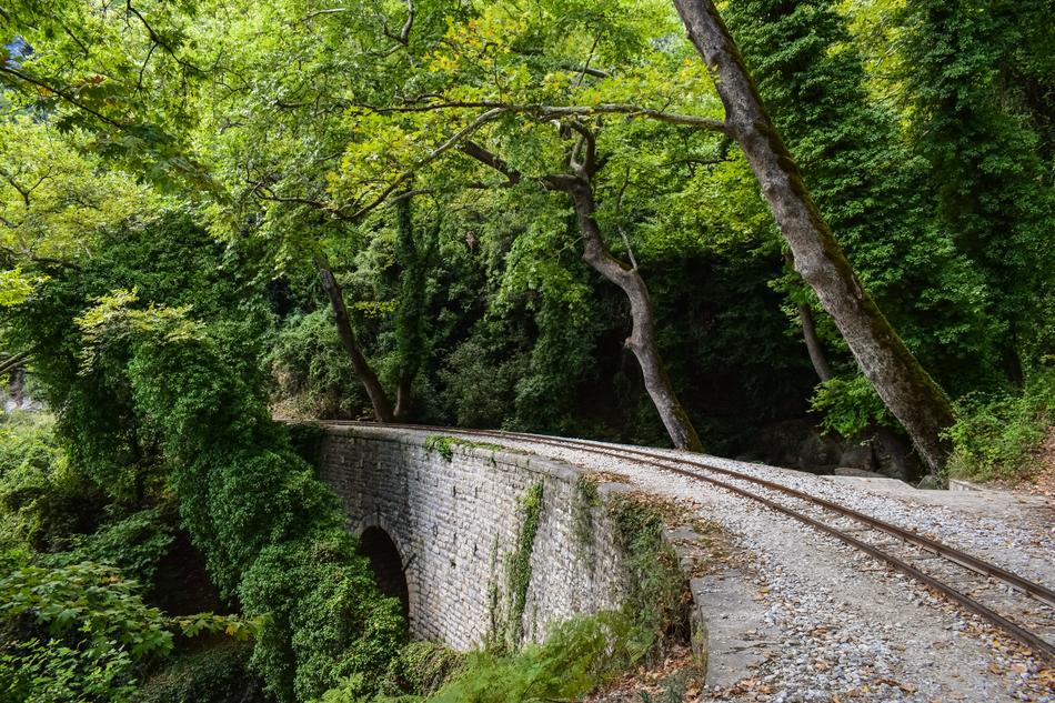 Rails Bridge Trees free image download