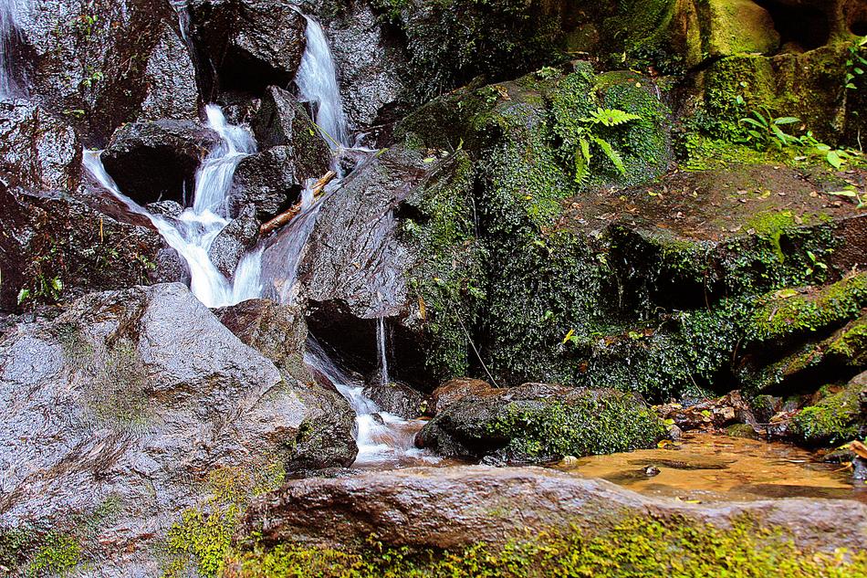 Waterfall Nature Cascade free image download