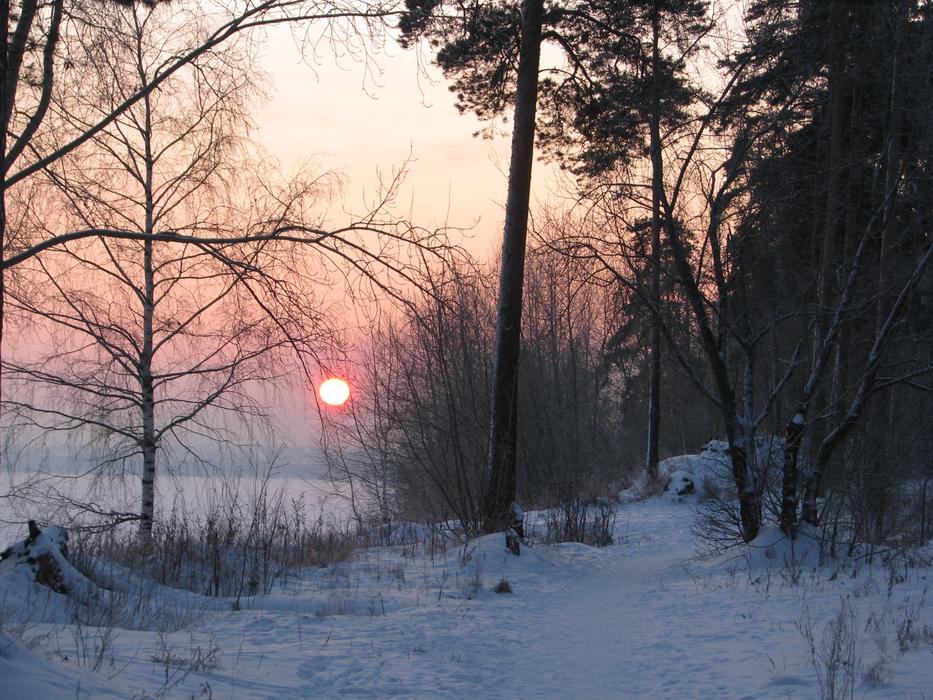 Evening Winter Sunset free image download