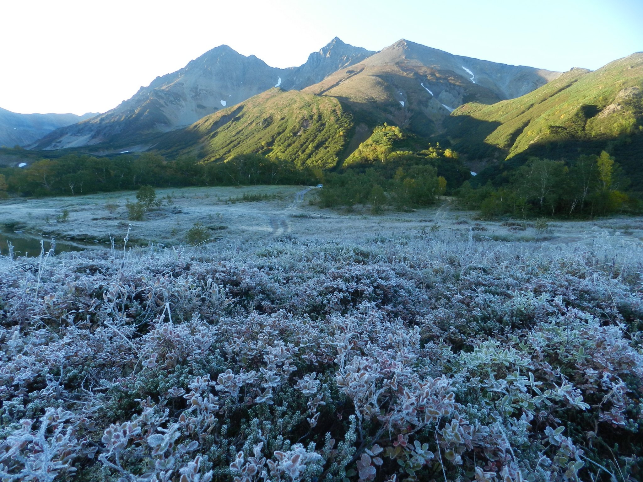 The First Frost Early Autumn free image download