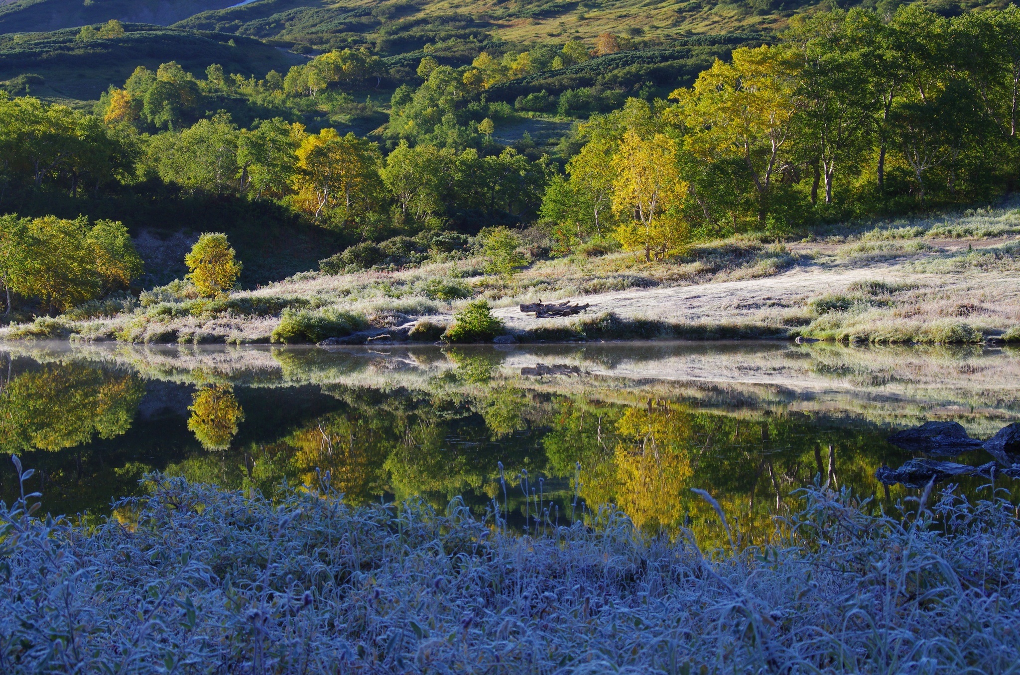 The First Frost Early Autumn free image download