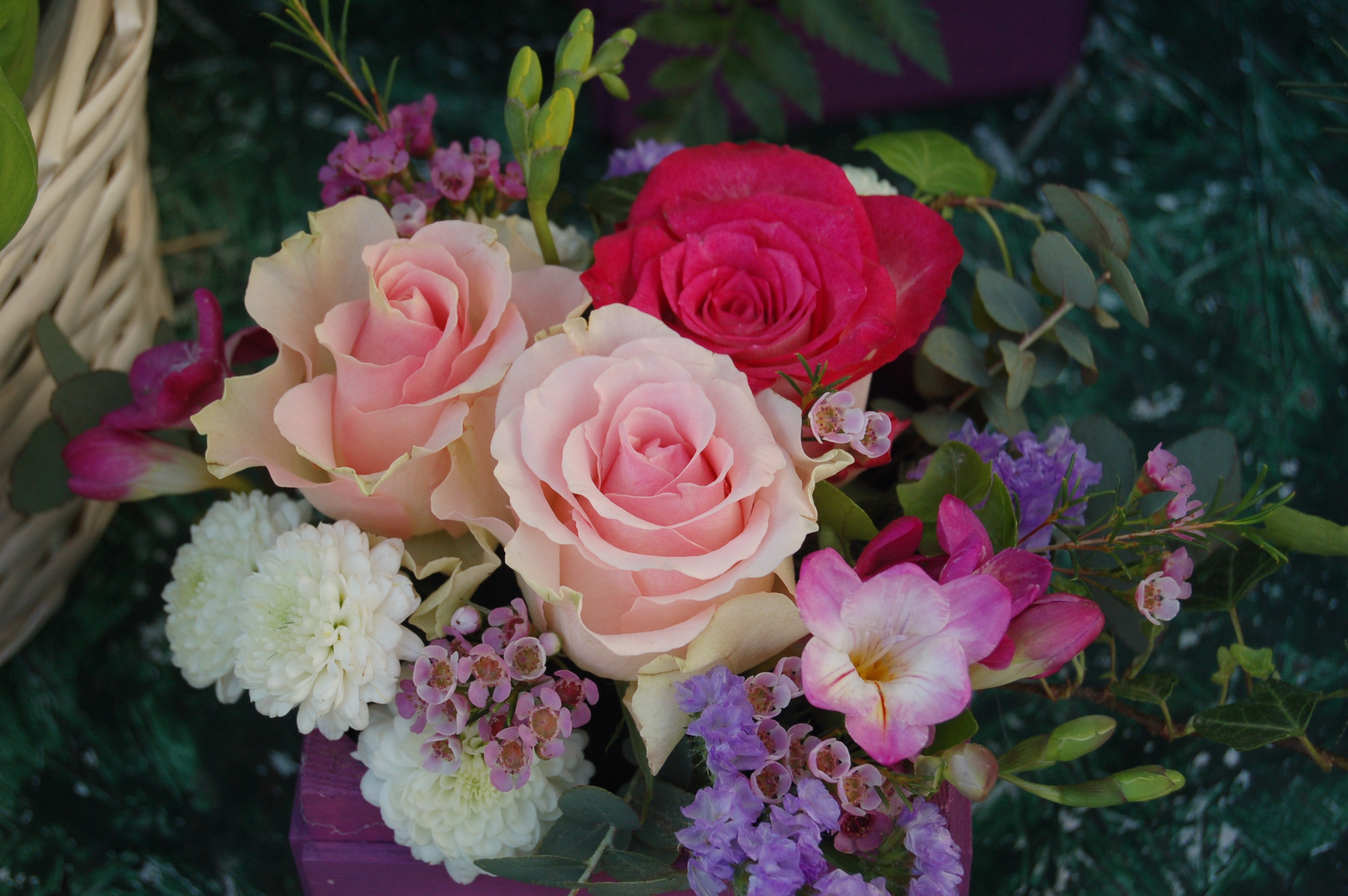 Flower Plant Bouquet De Fleurs free image download