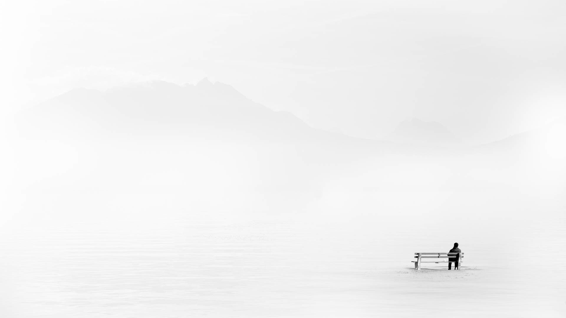 Nature Winter Fog free image download