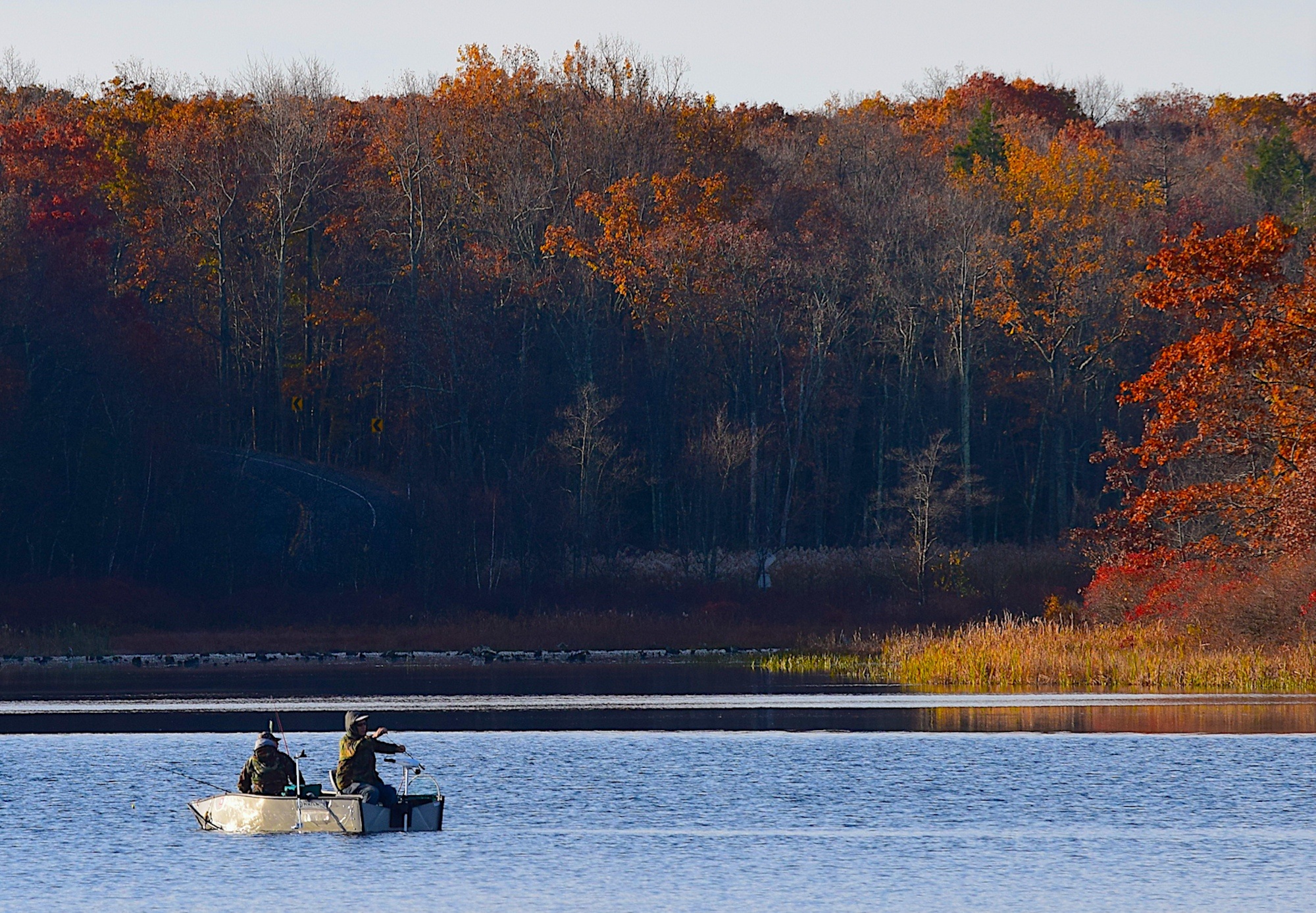 Lake Morning Fall free image download
