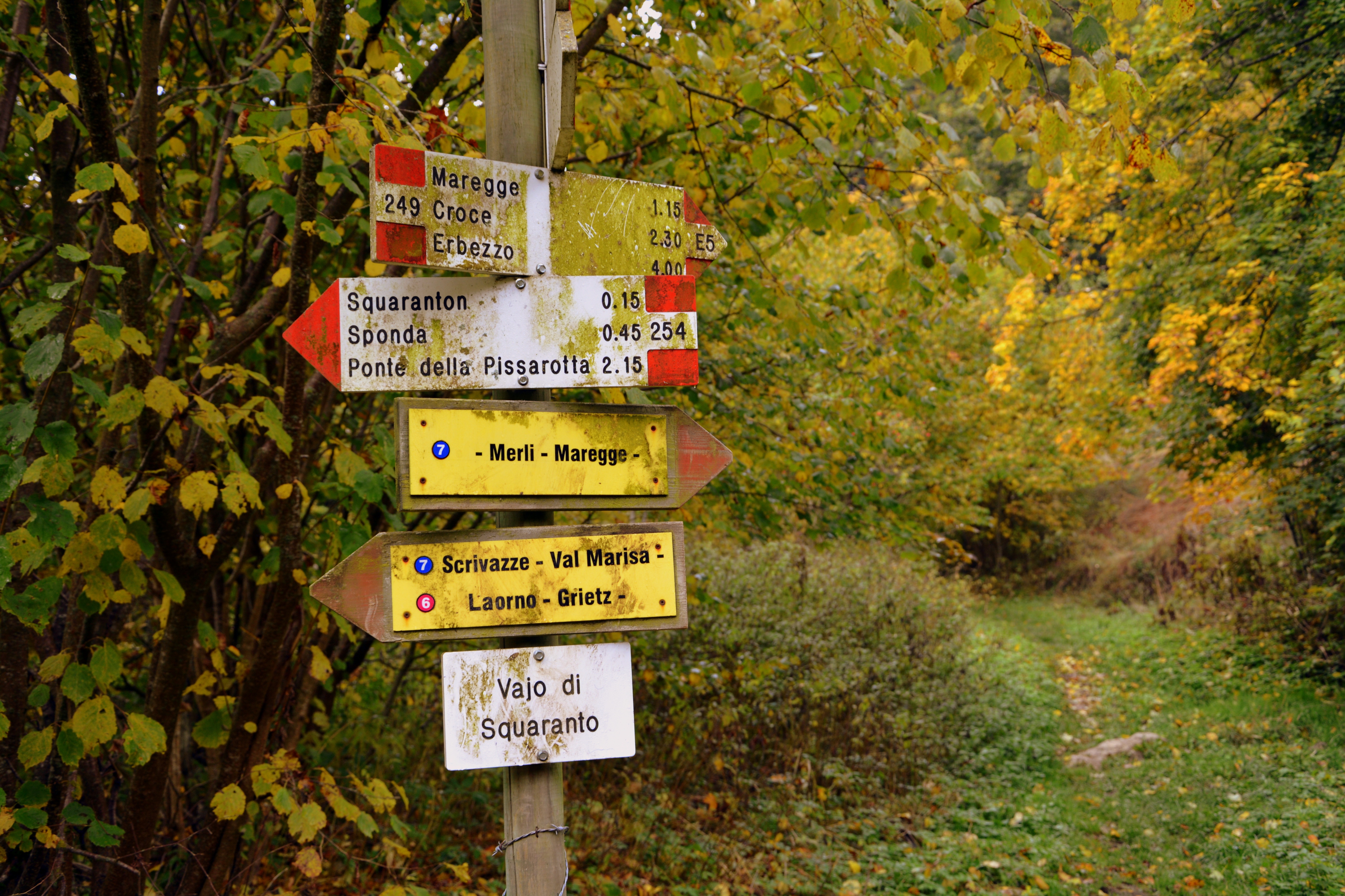 Signal Indication Excursion free image download