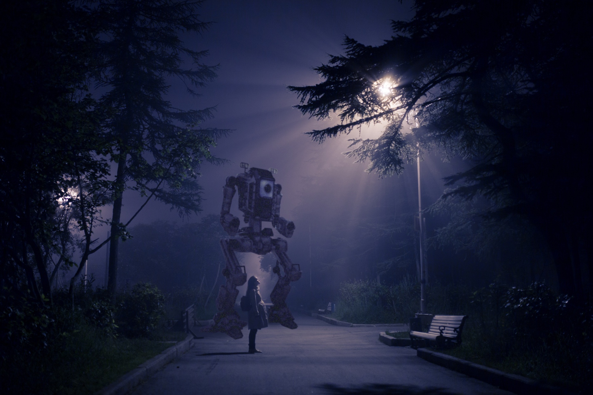 Dark Nature Light free image download