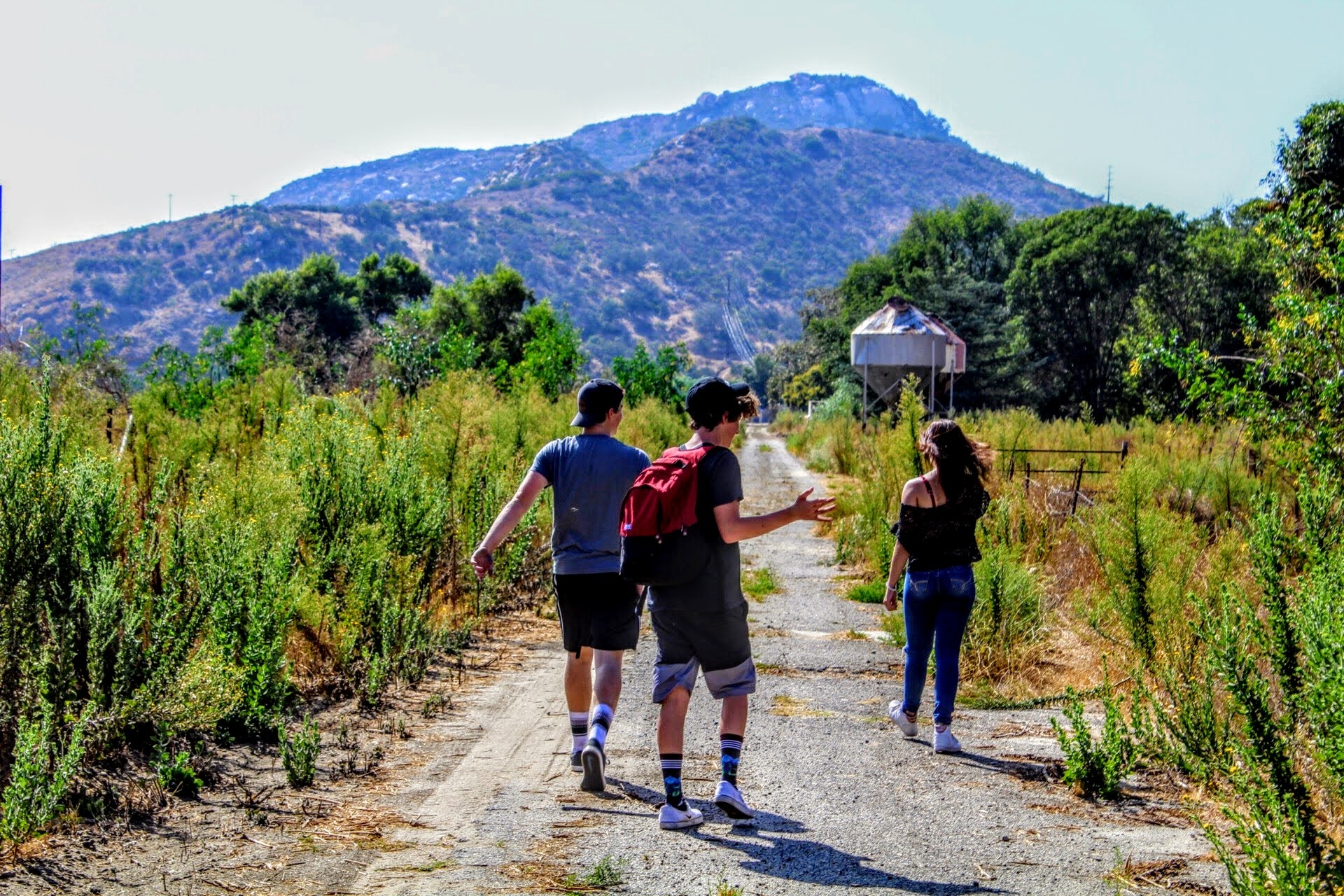Friends Nature Fun free image download