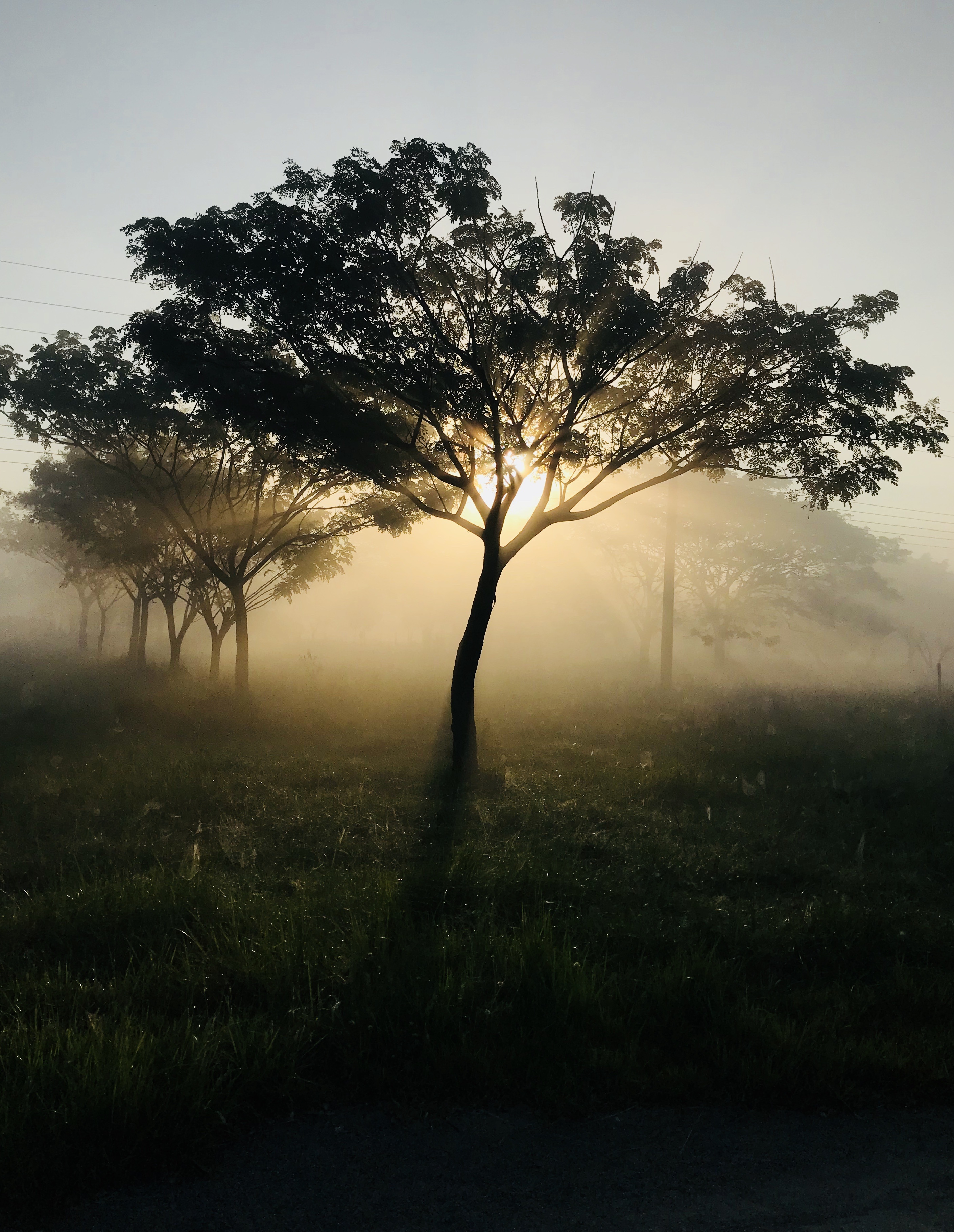 Sunrise Early Morning Sun free image download
