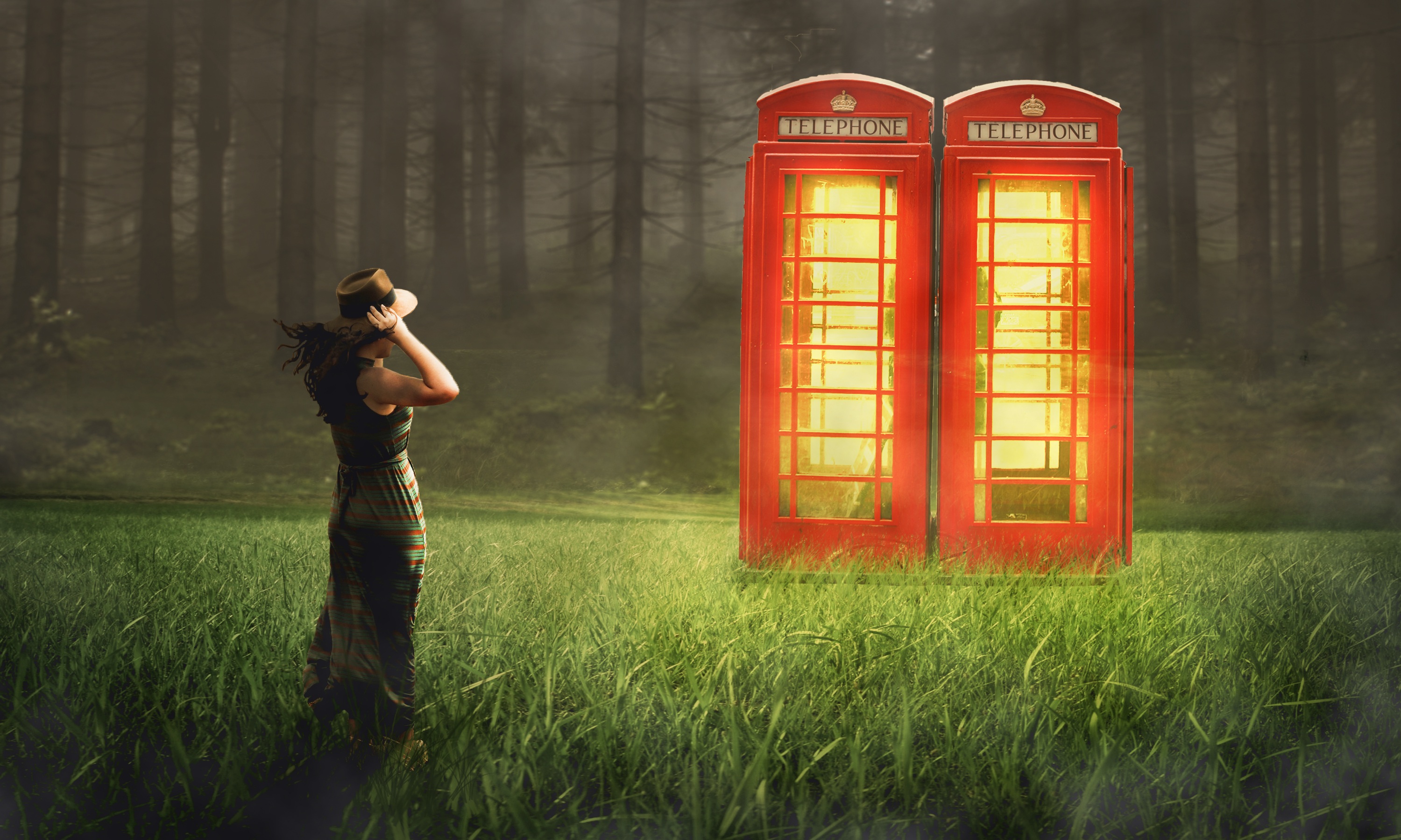 Grass Forest Booth free image download