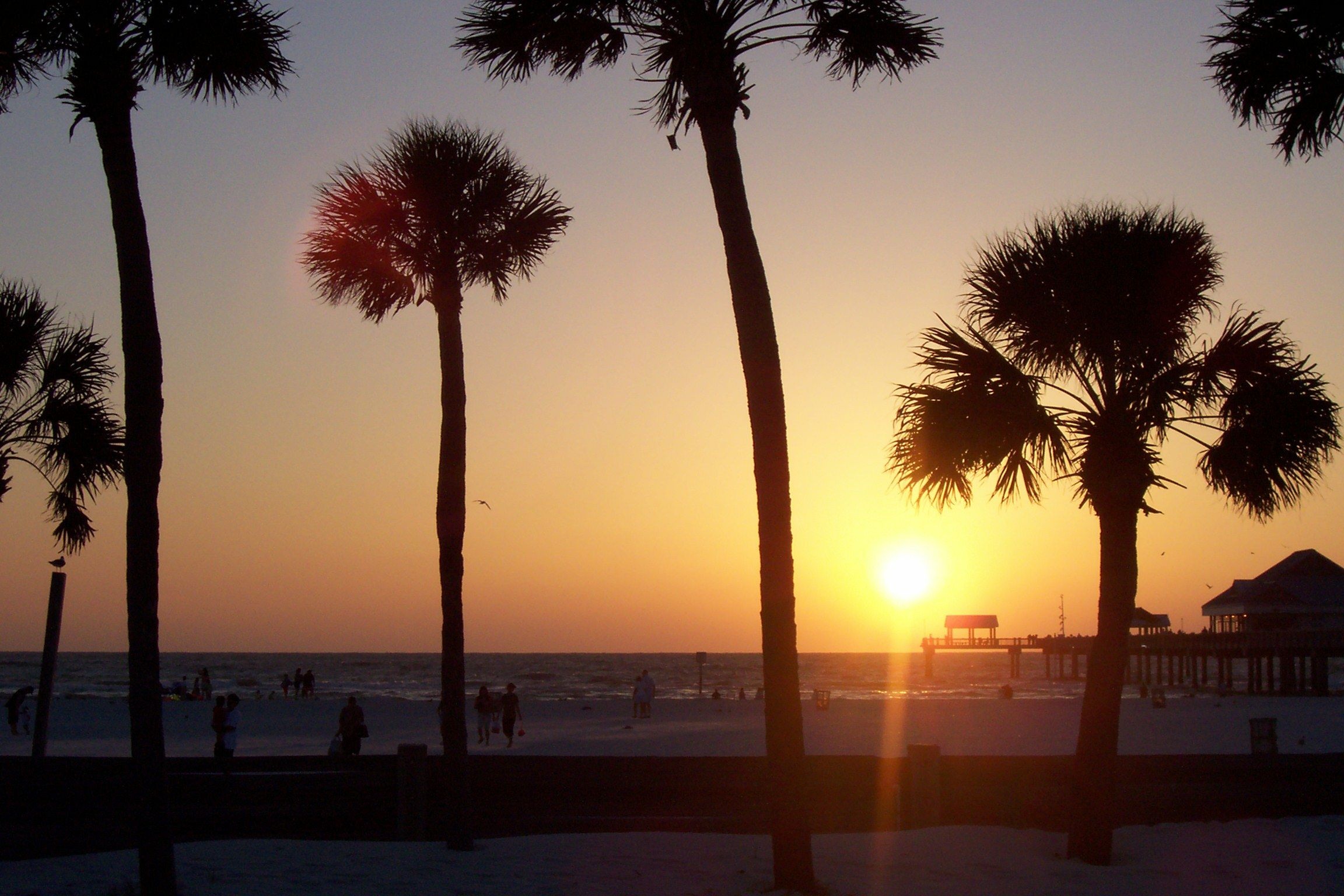 Beach Sunset Clearwater free image download