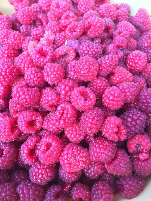 Malina Raspberries Fruit free image download