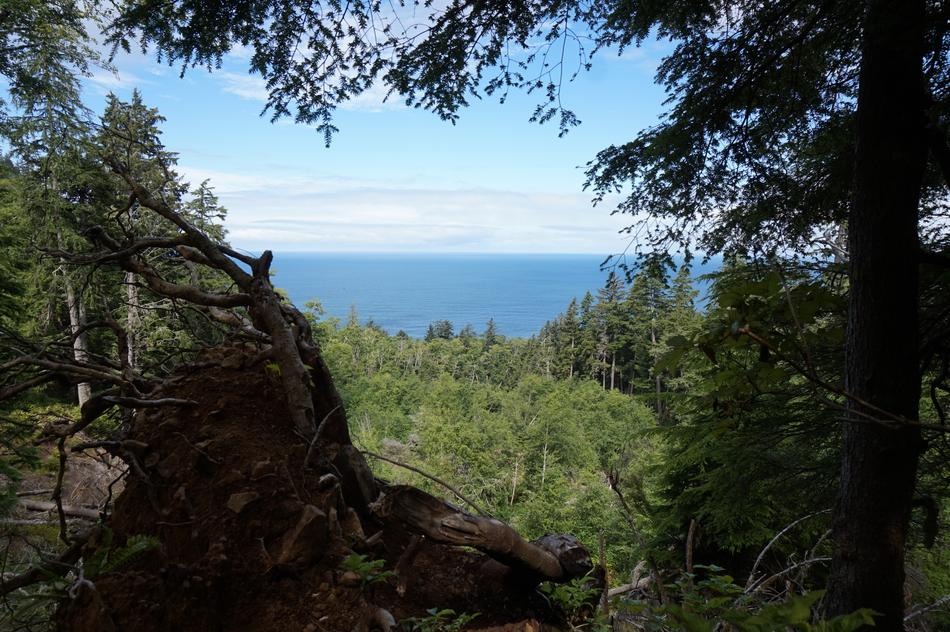Scenic Ocean Trail free image download