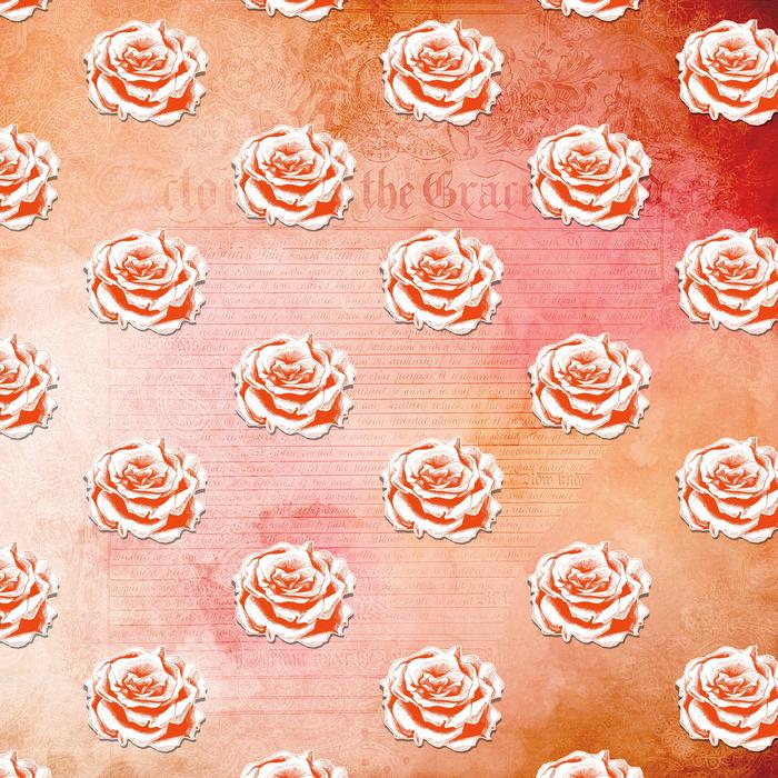 Flower floral rose garden pink free image download