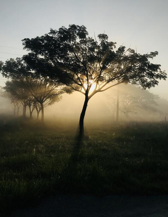 Sunrise Early Morning Sun free image download