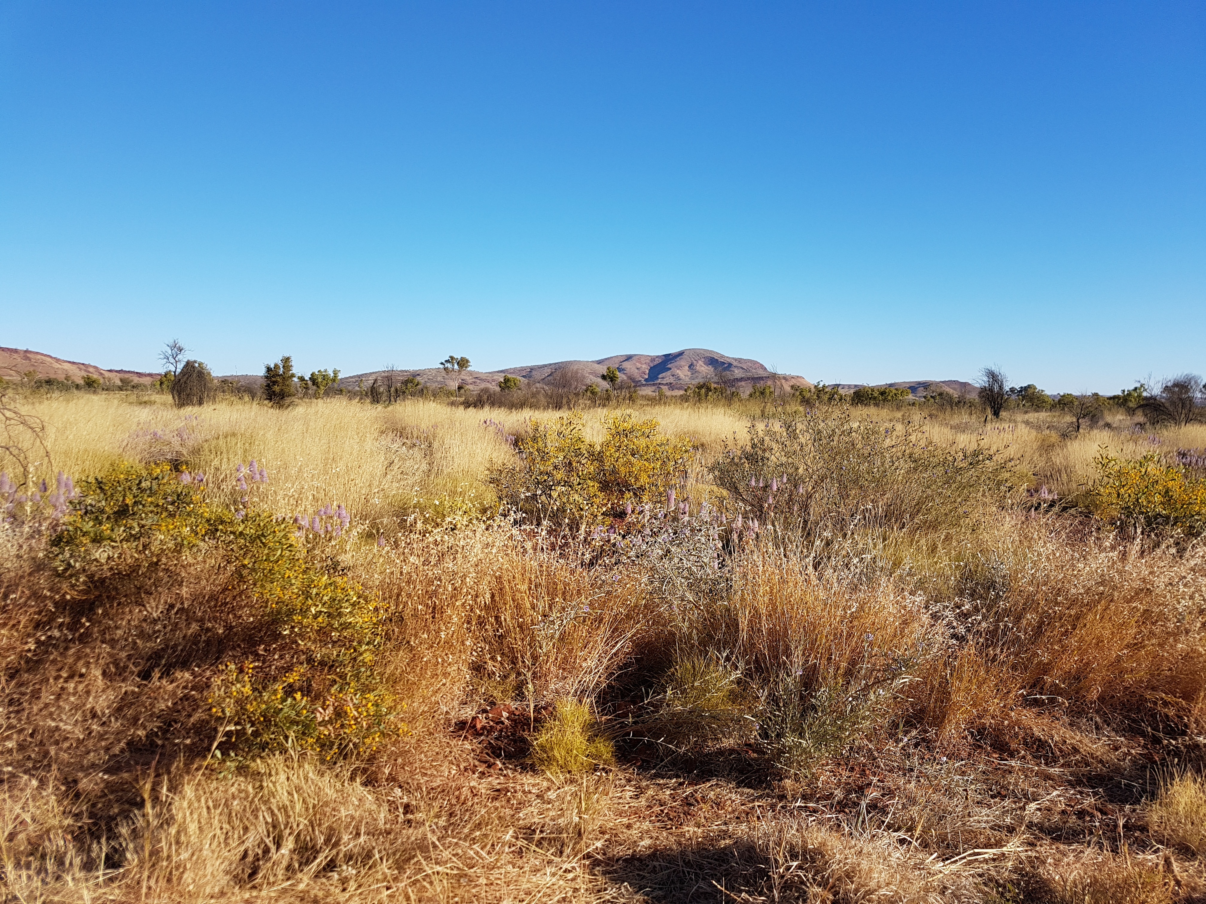 Wa Western Australia Outback free image download