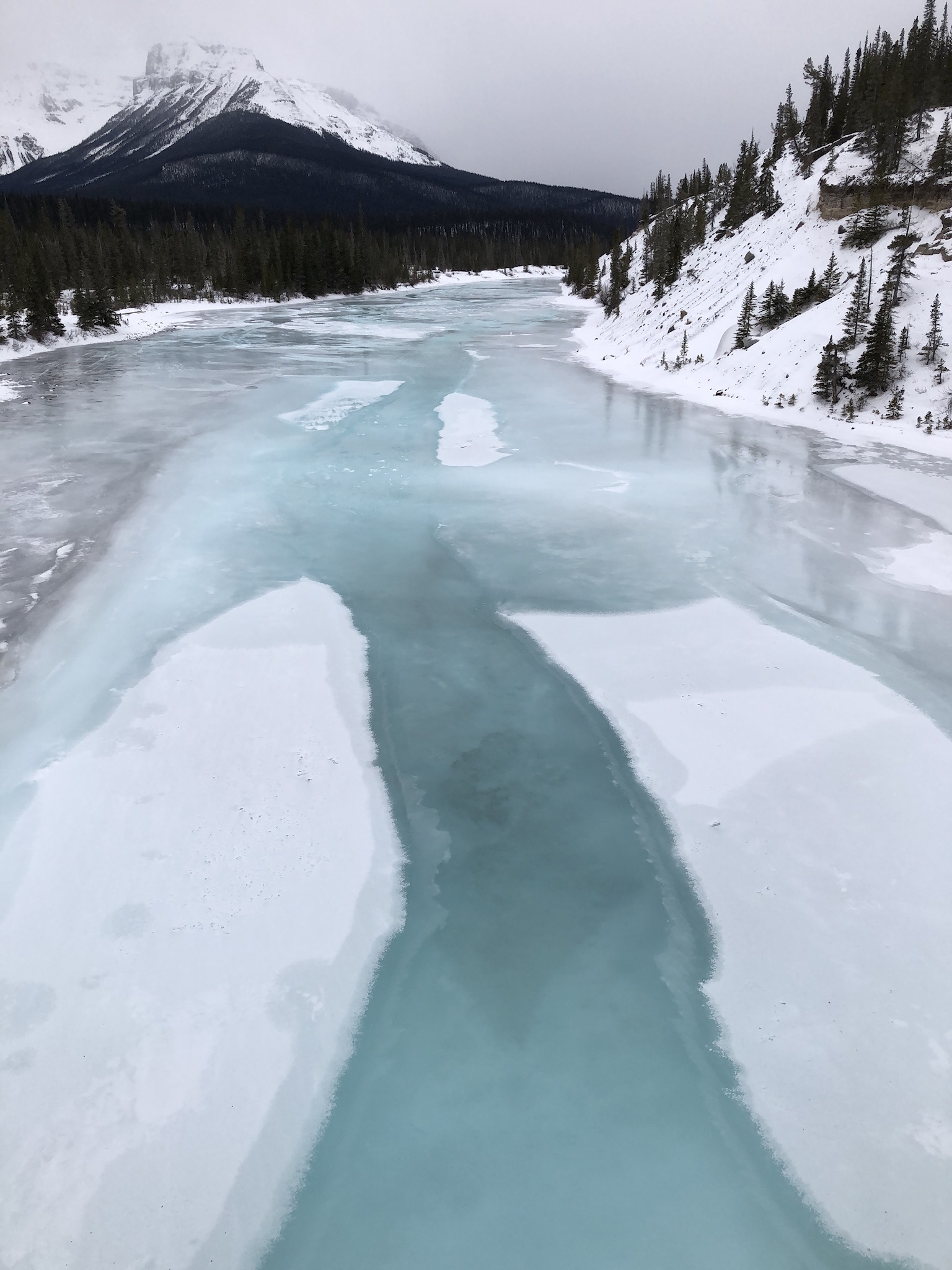 Winter Ice Frozen free image download