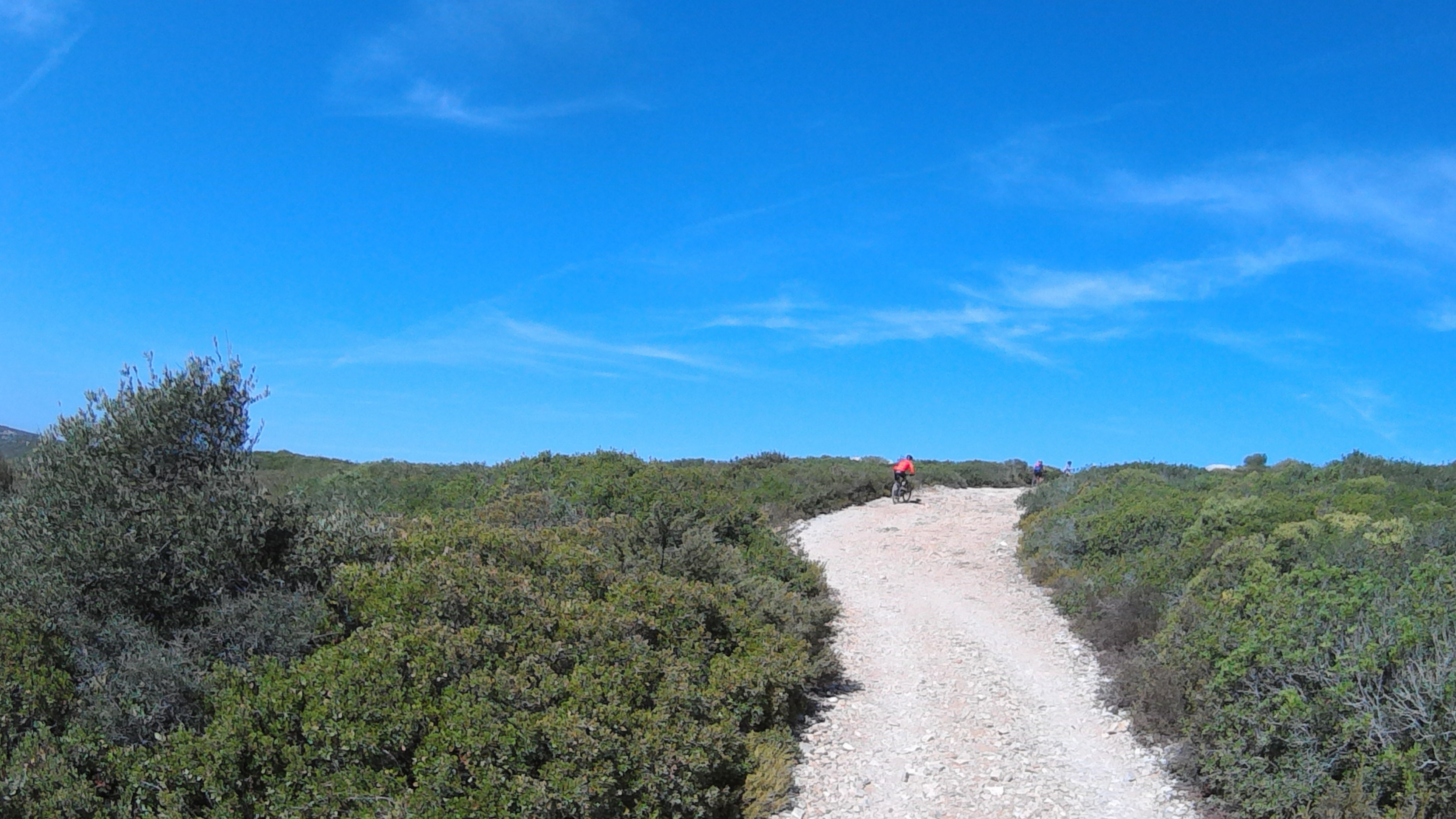 Mtb Trail Adventure free image download
