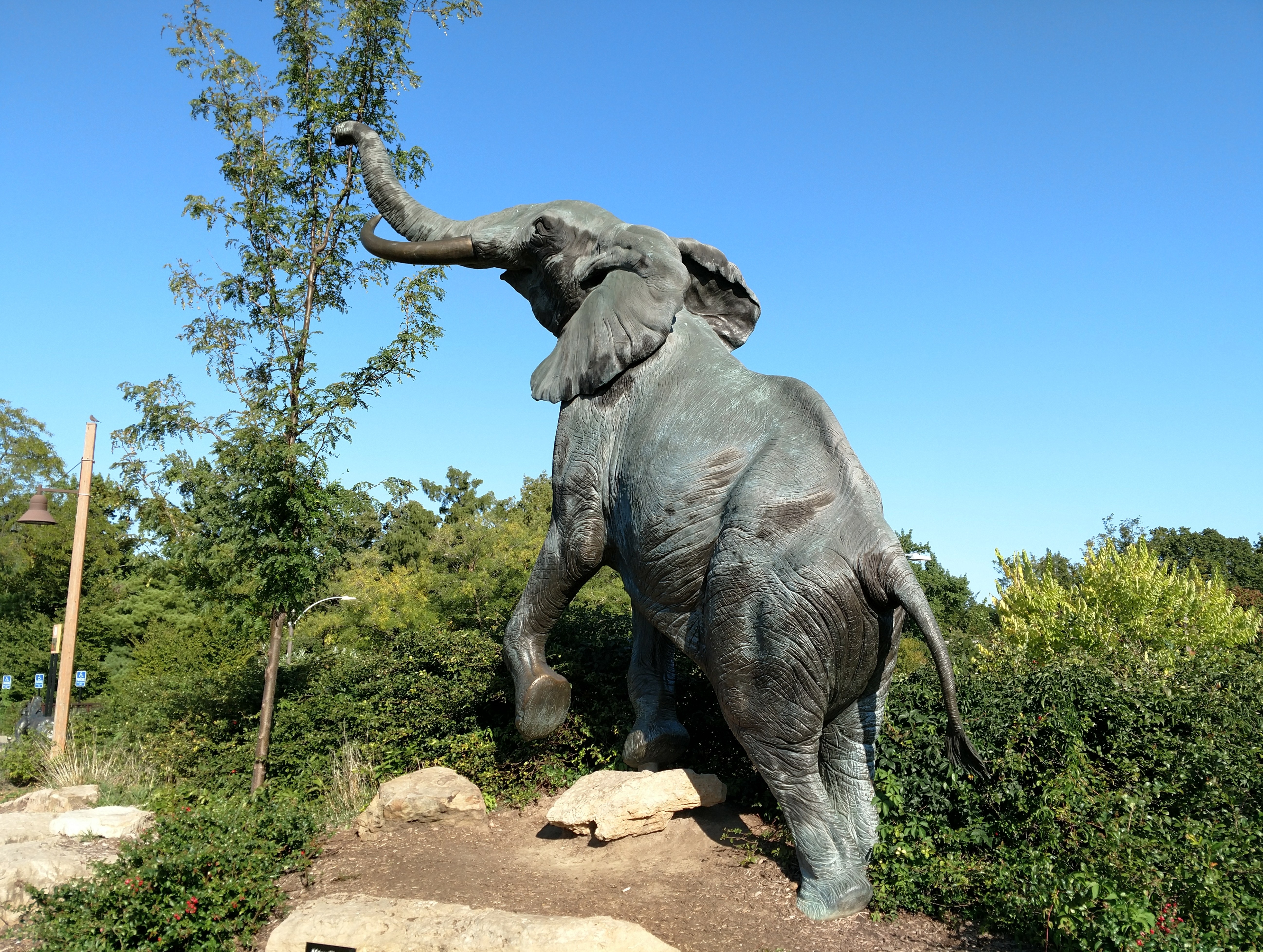 Elephant Statue Zoo free image download