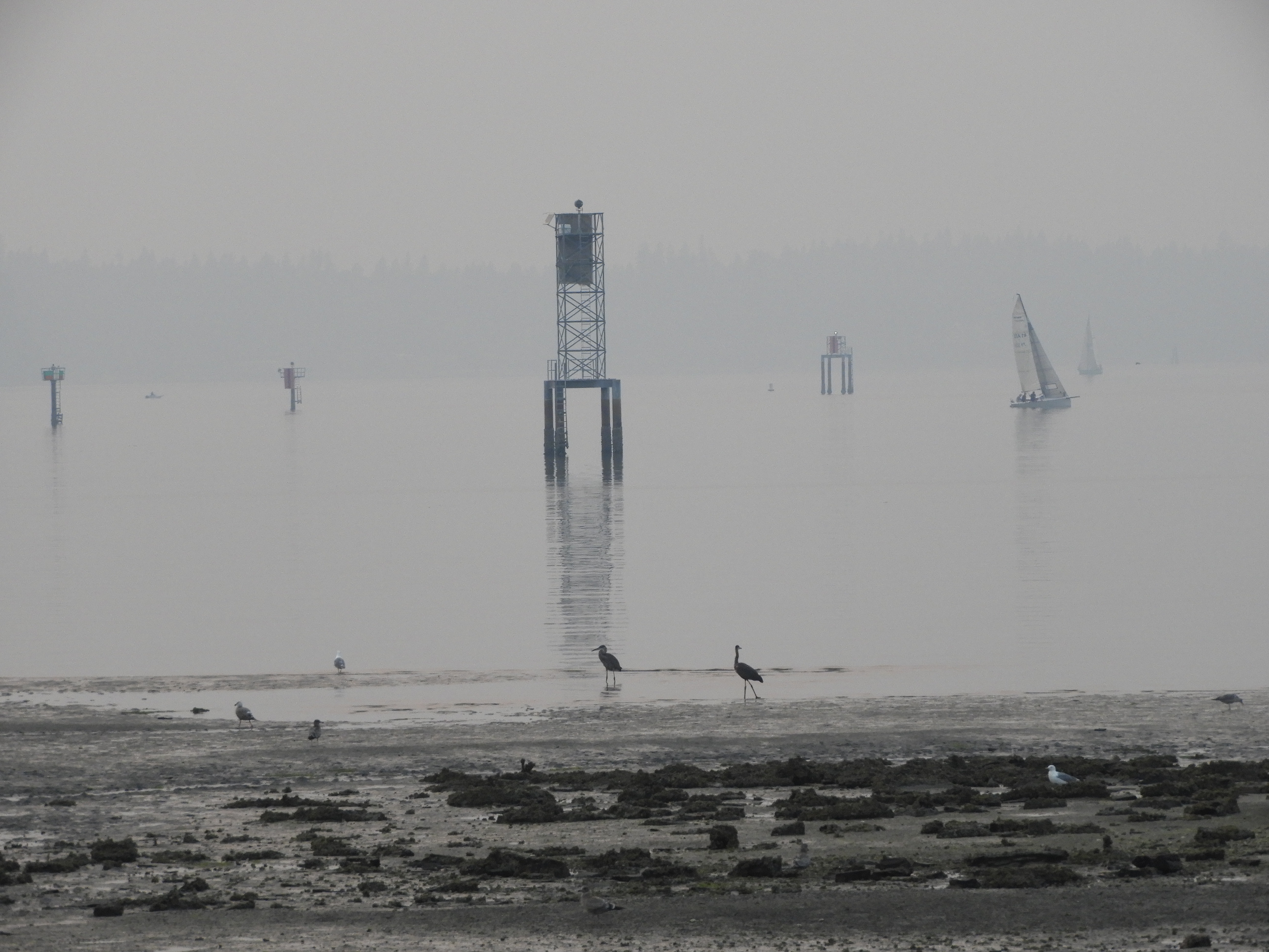 Water Sailboat Tower free image download