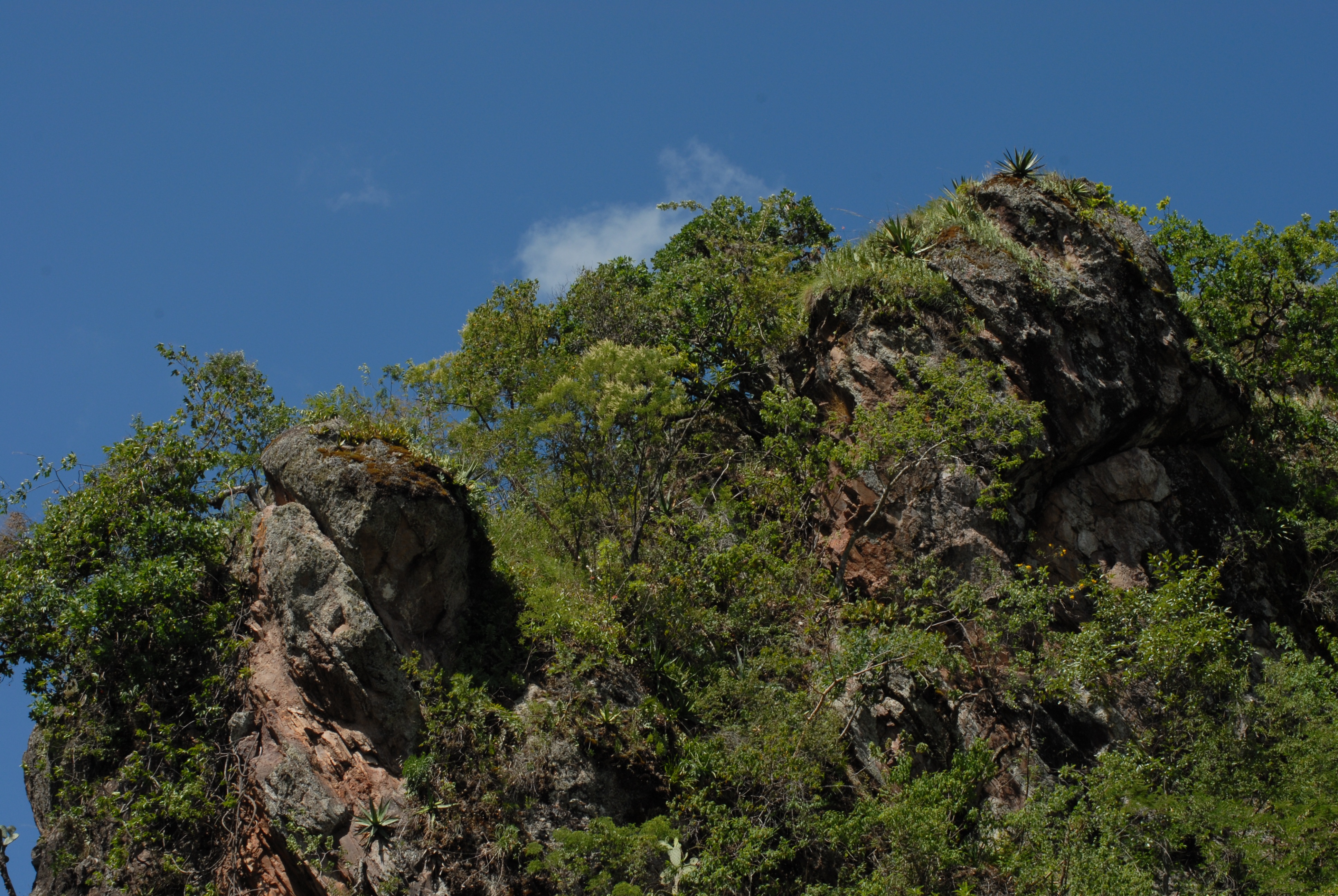 Rock Mount free image download