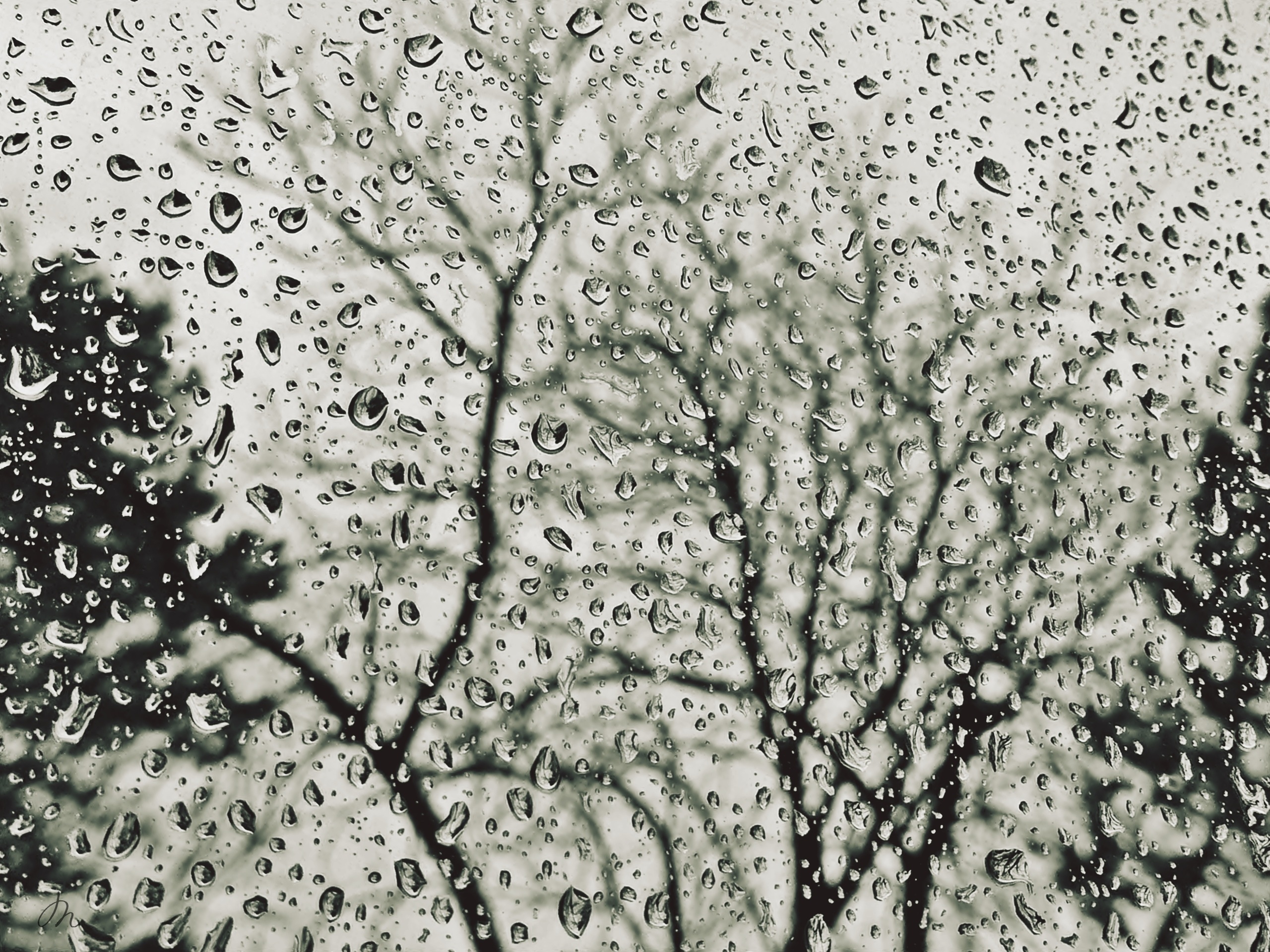 Rain Raindrop Drop Of Water free image download