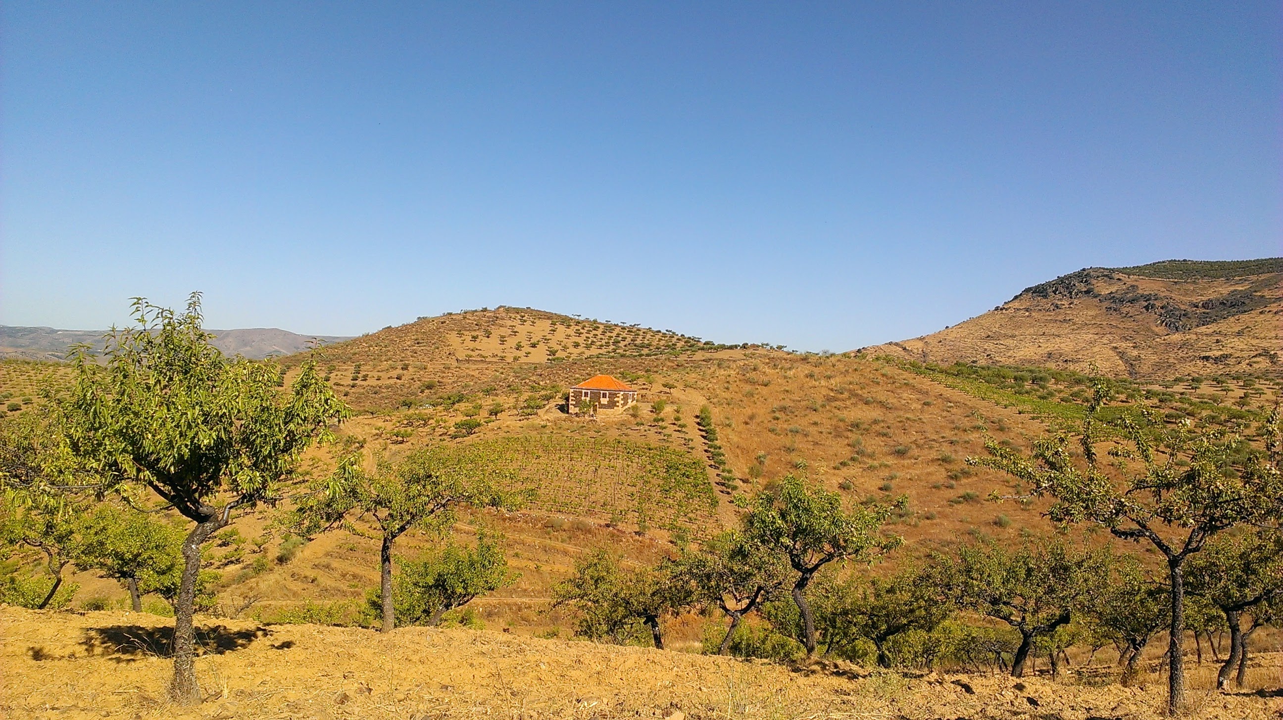 Nature Landscape Outdoors free image download