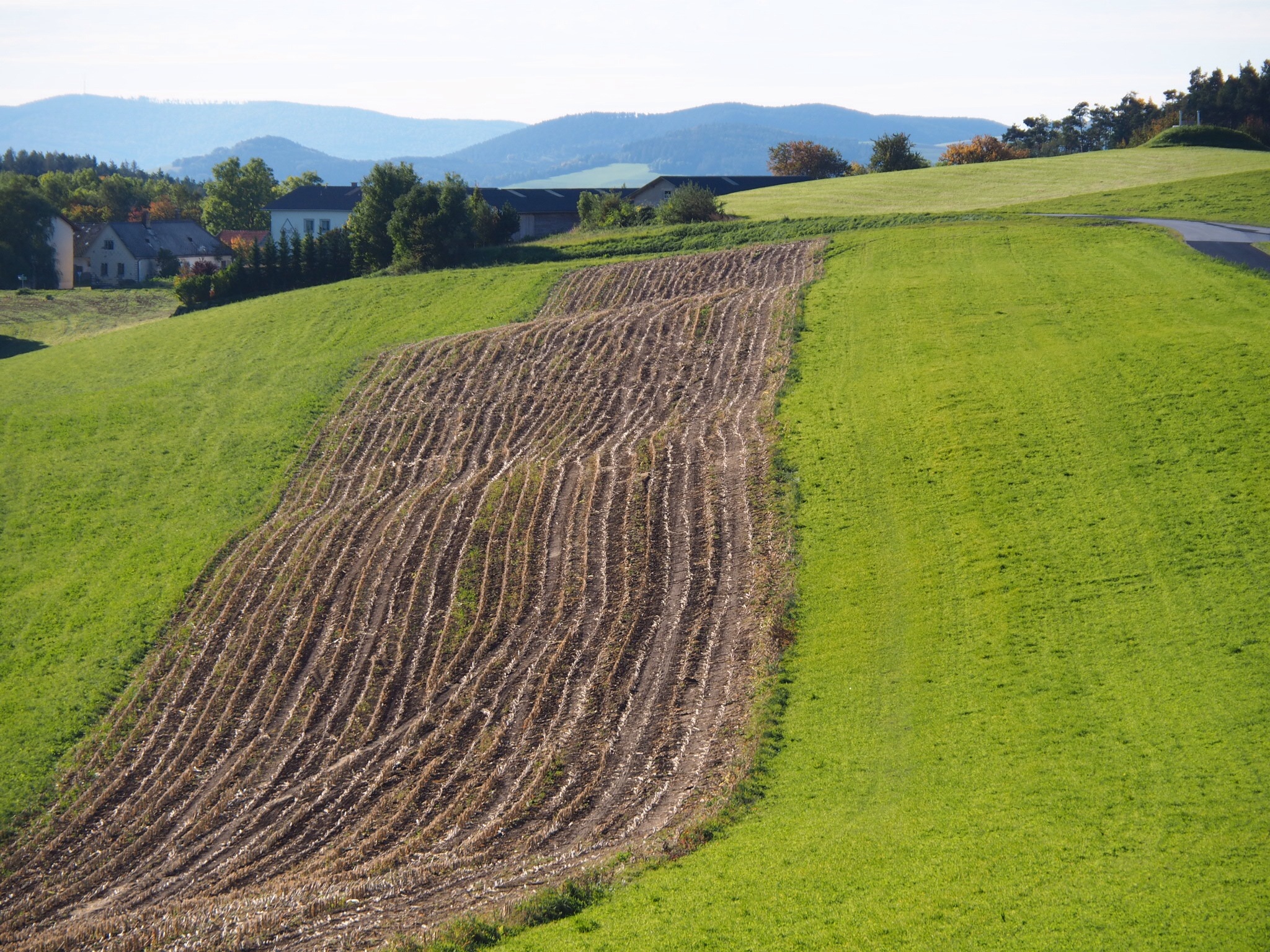 Nature Meadow Lower Austria free image download