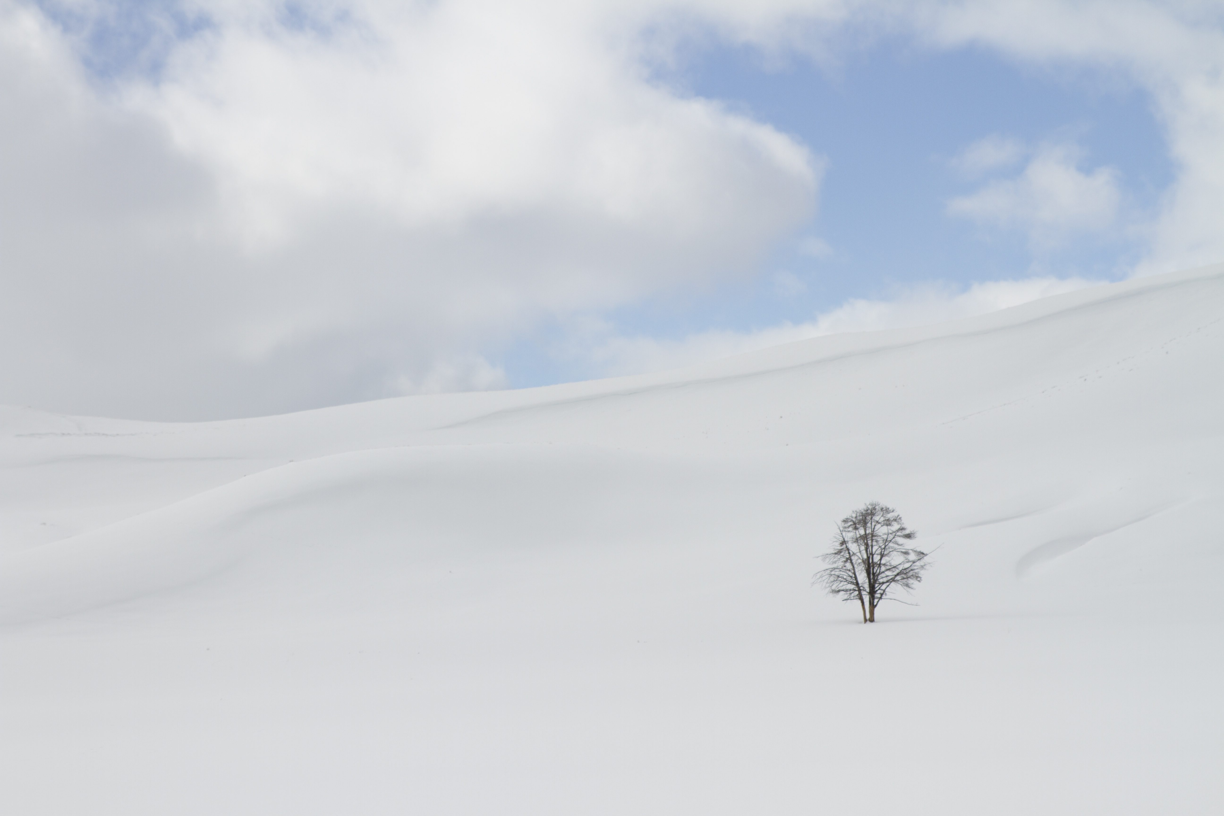 Winter Snow Isolation free image download