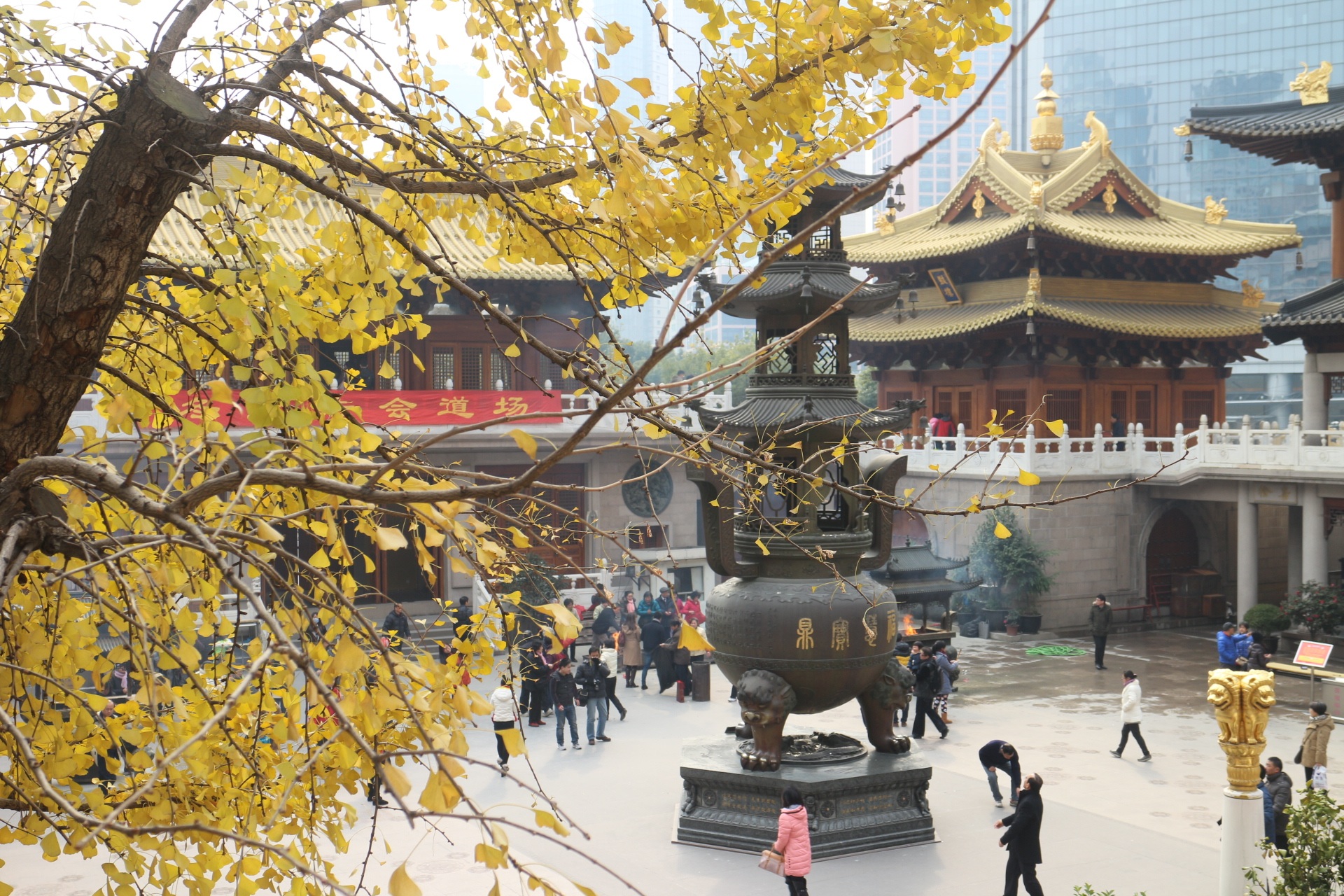Leaves China Leaf free image download
