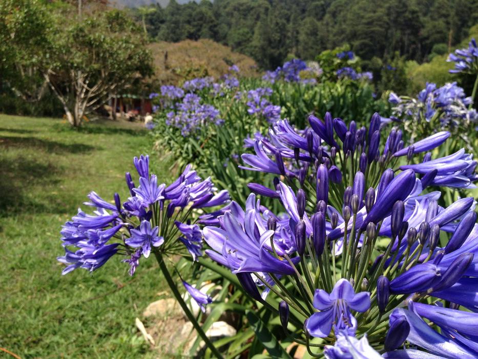 Merida Venezuela Mérida-Venezuela free image download