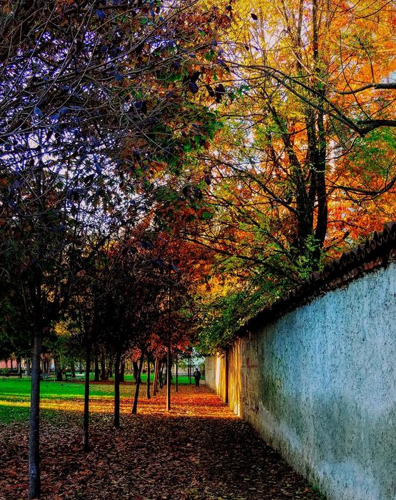Torino Piemonte Italy free image download