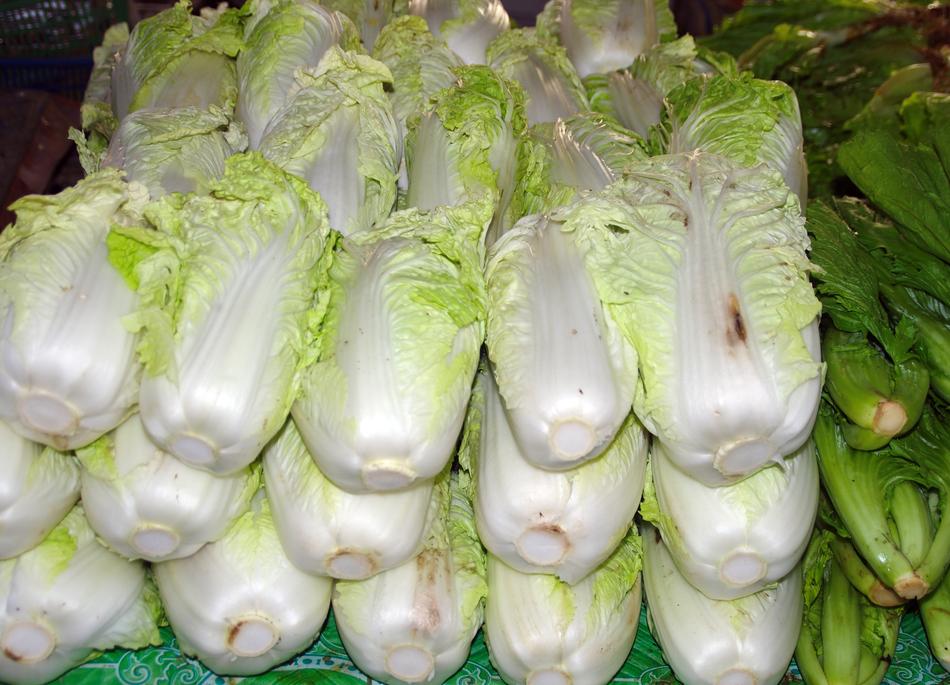 Long cabbage harvest free image download