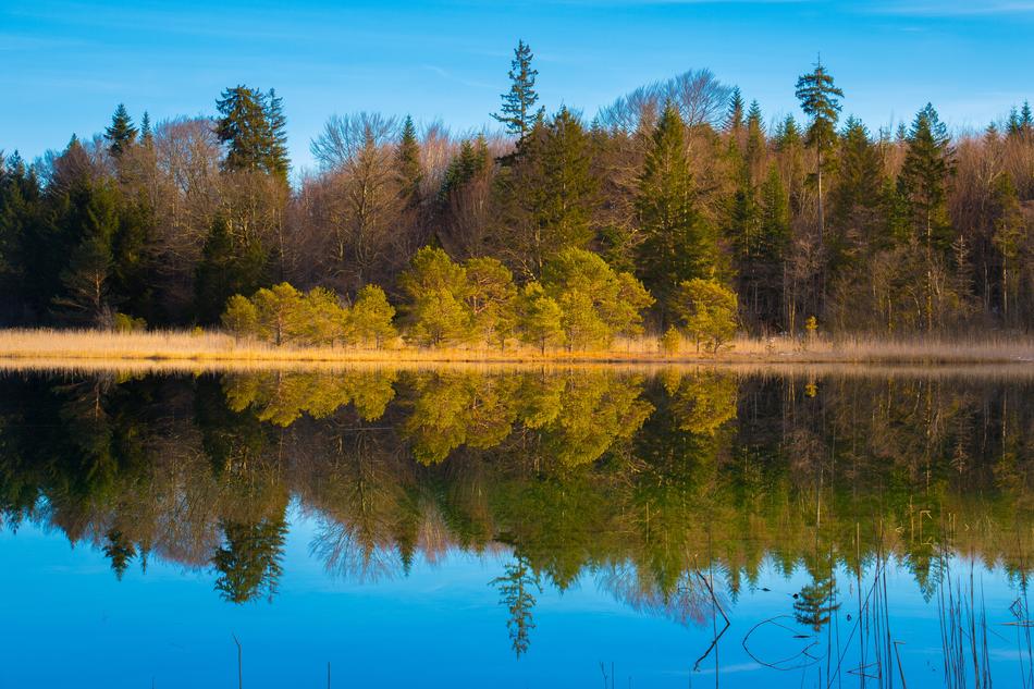 Lake Body Of Water Nature free image download