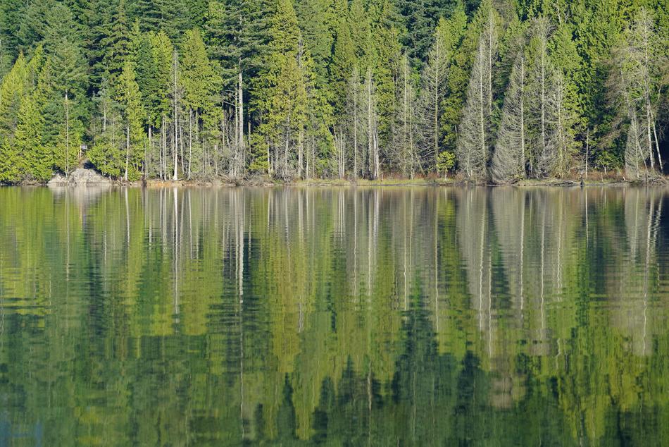 Buntzen Lake British Columbia free image download