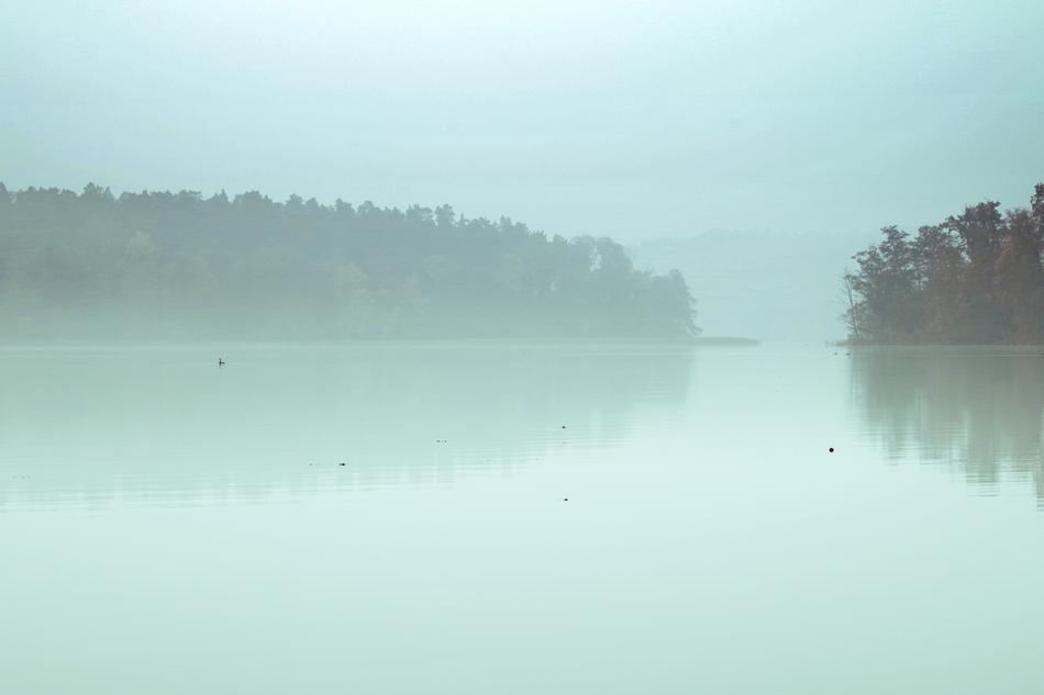 Lake The Fog Pond free image download