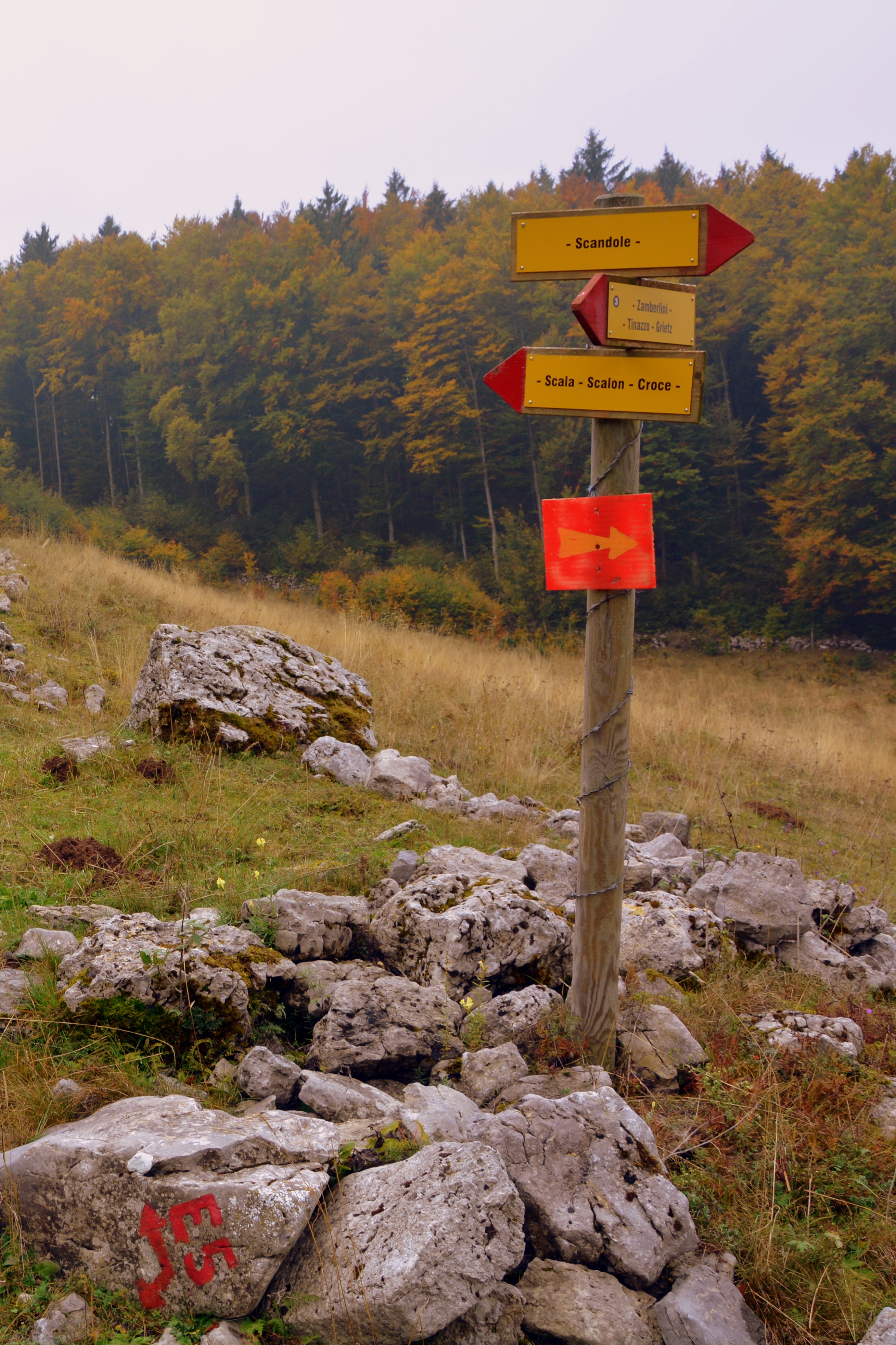 Signal Indications Excursion free image download
