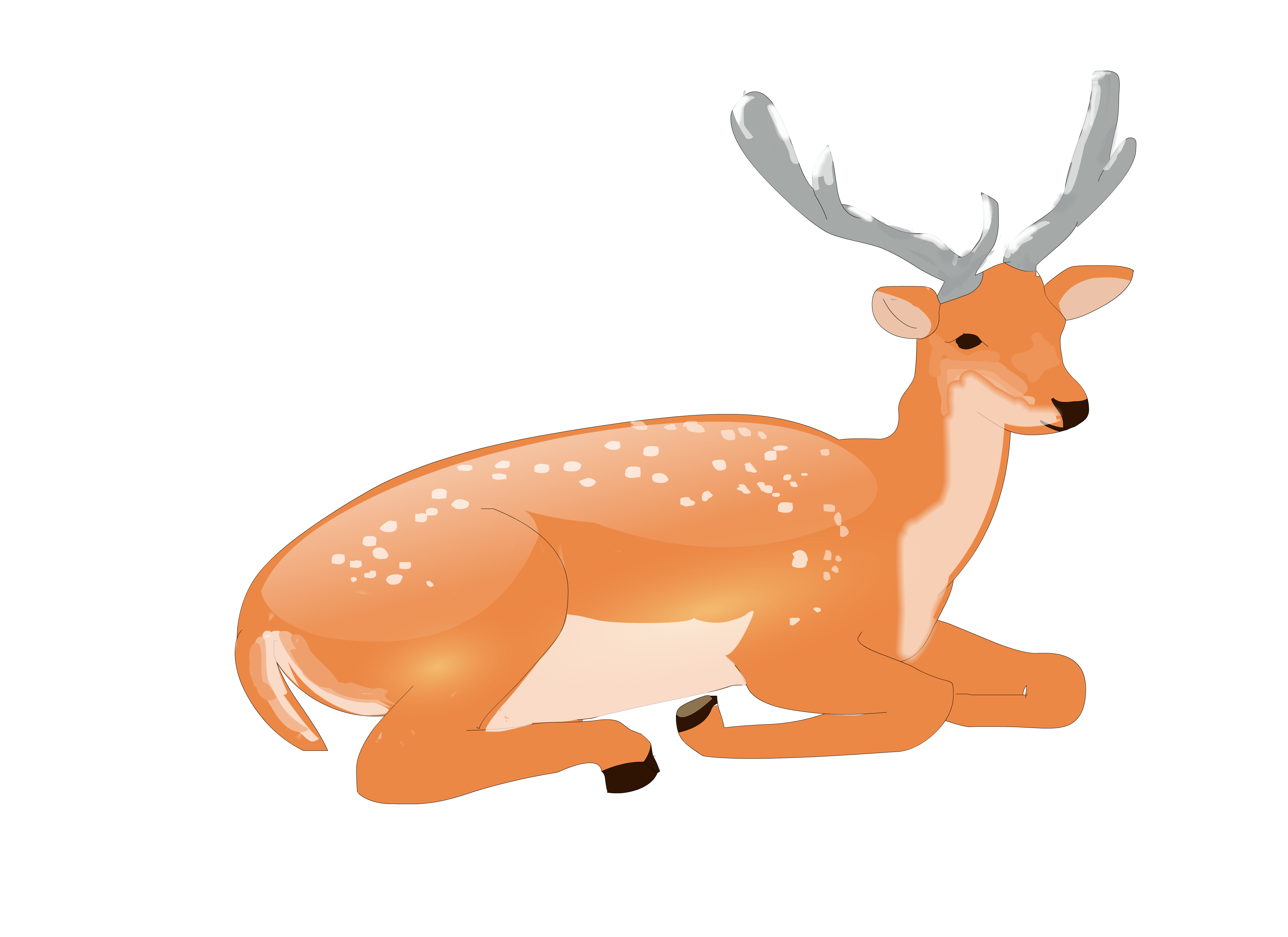 Deer horn dotted deer animal wild free image download