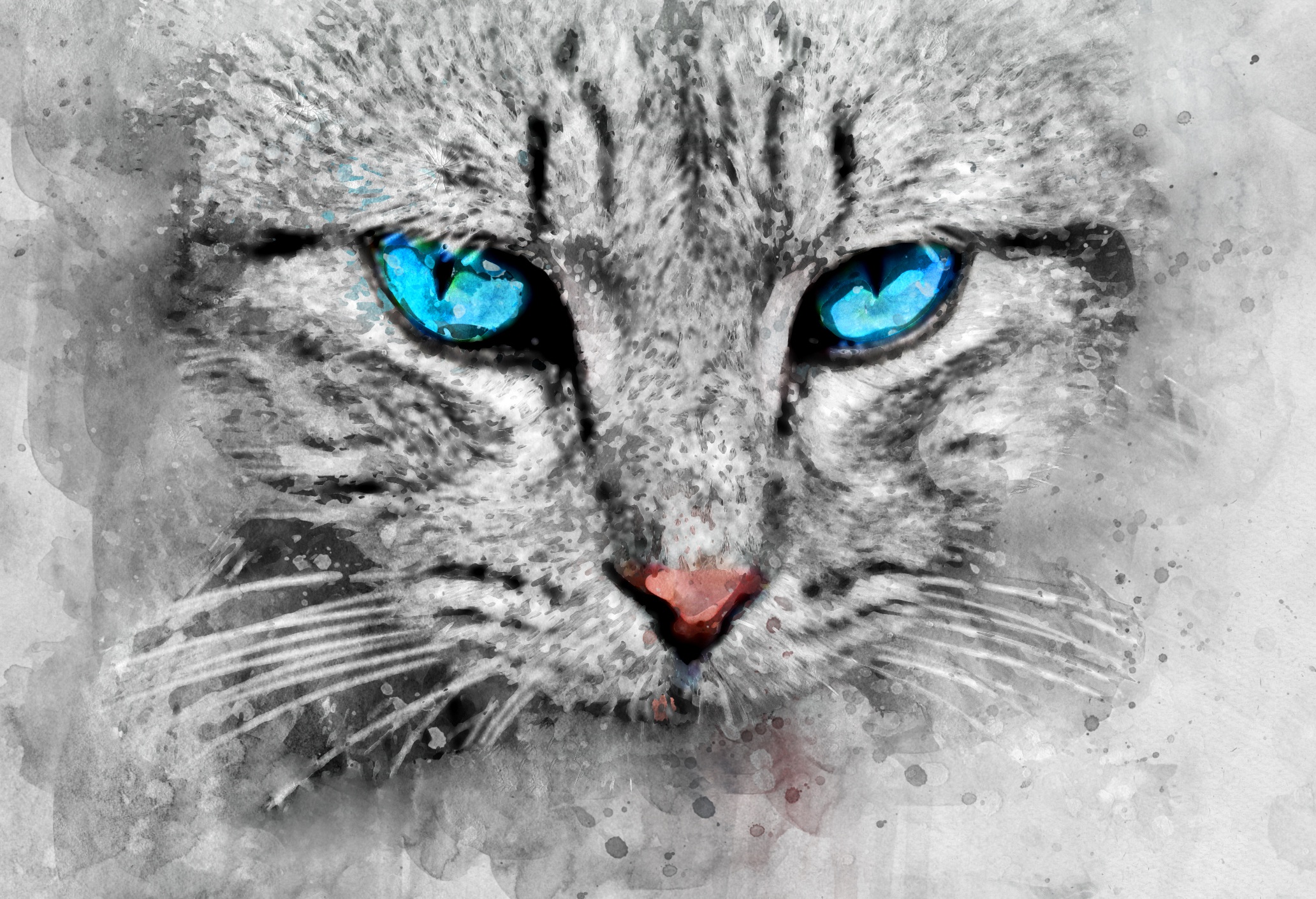 Drawing of a cat face with blue eyes free image download