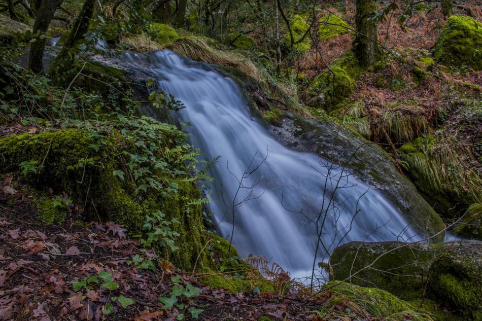 Nature Water Rio free image download