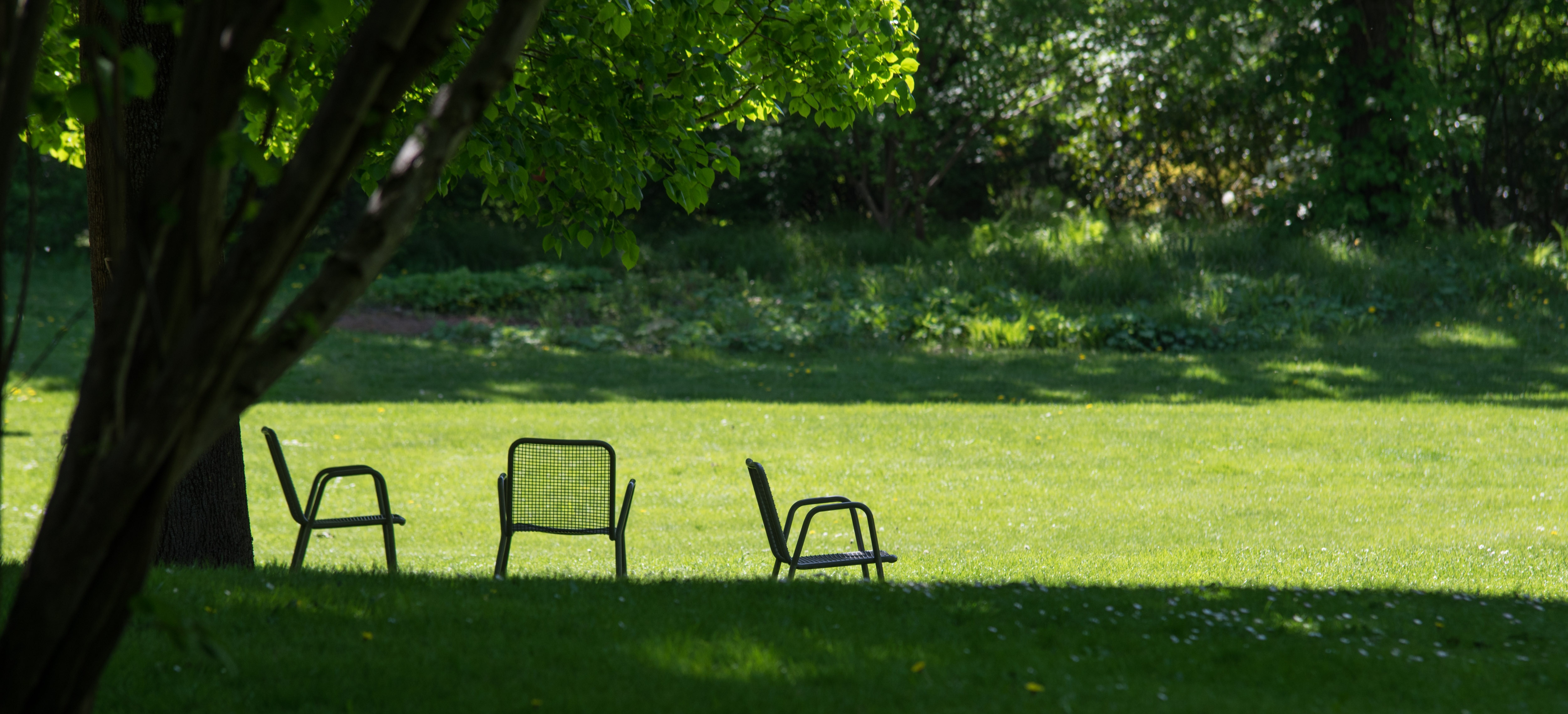 Grass Rest Chair free image download
