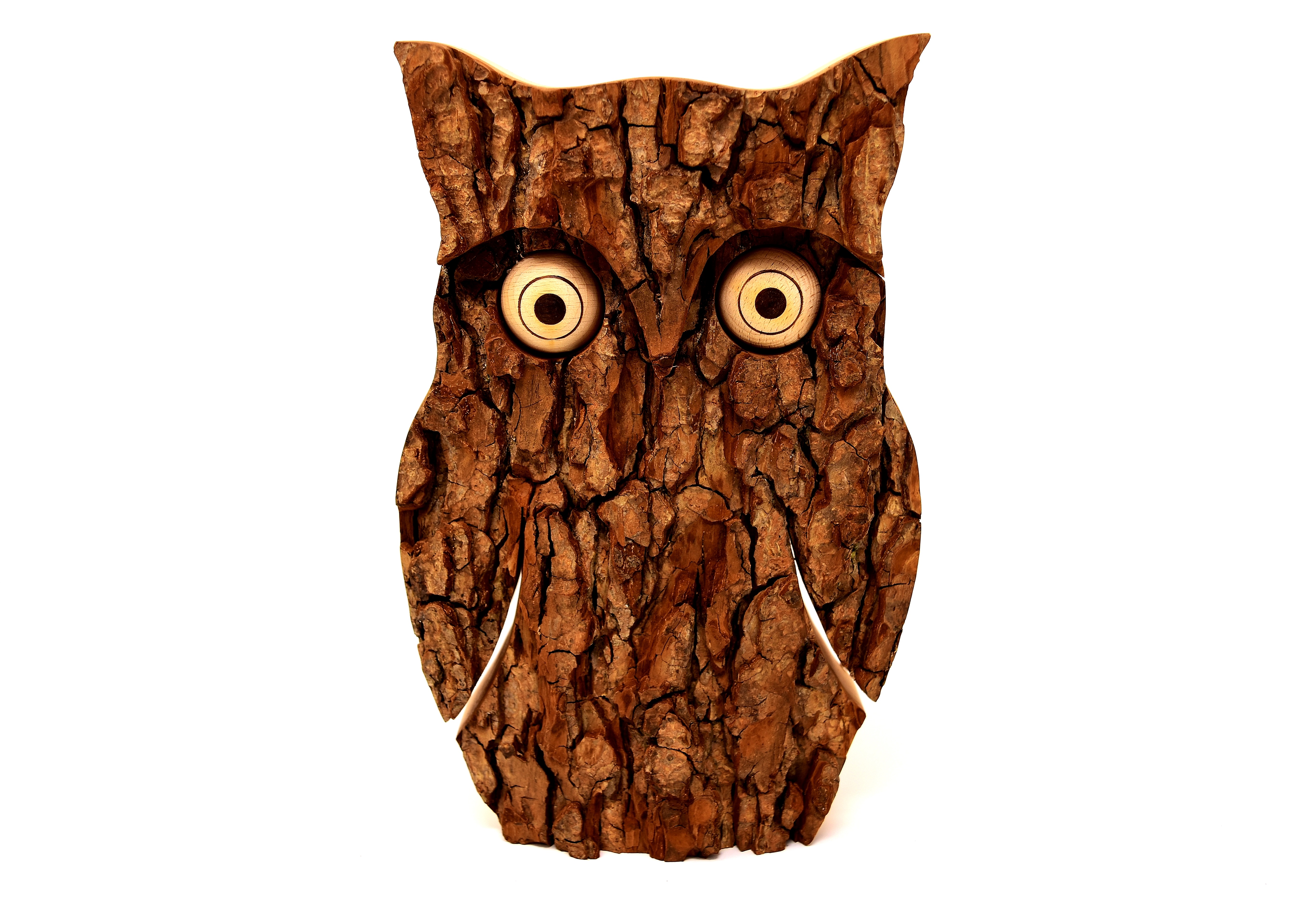 Owl Tree Bark Animal Eagle free image download