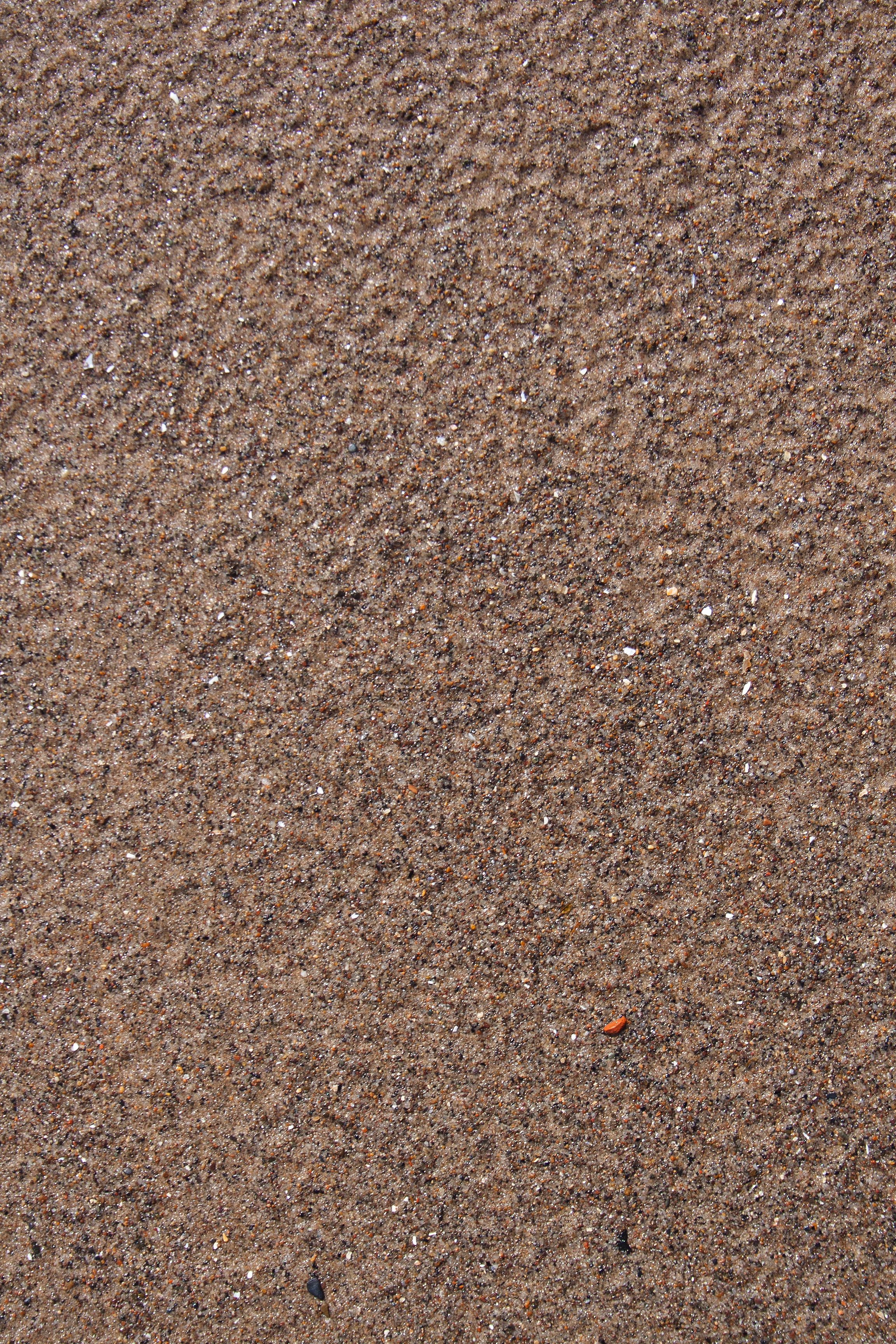 Sand Beach Costa free image download