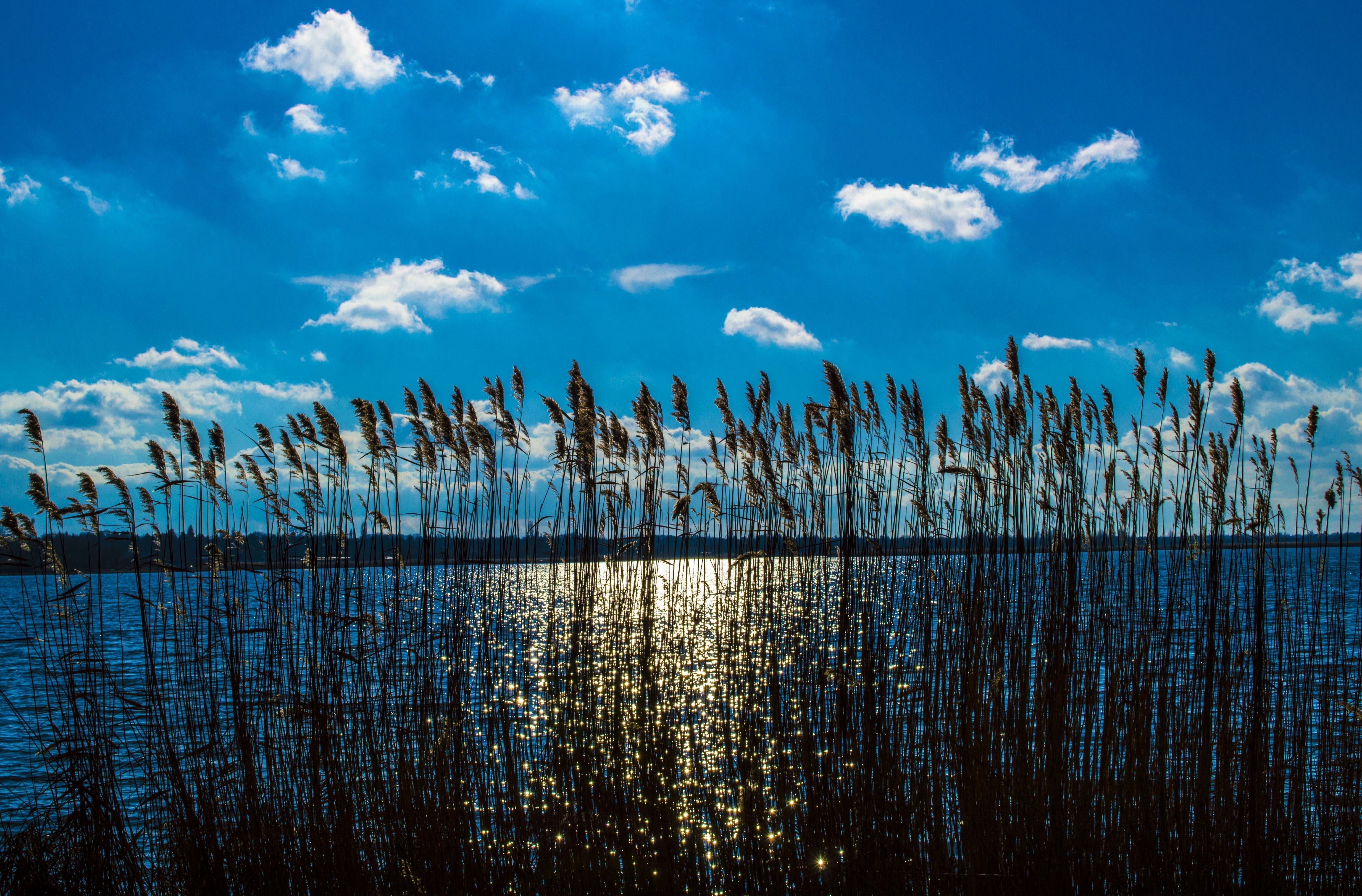 Body Of Water Heaven Nature free image download