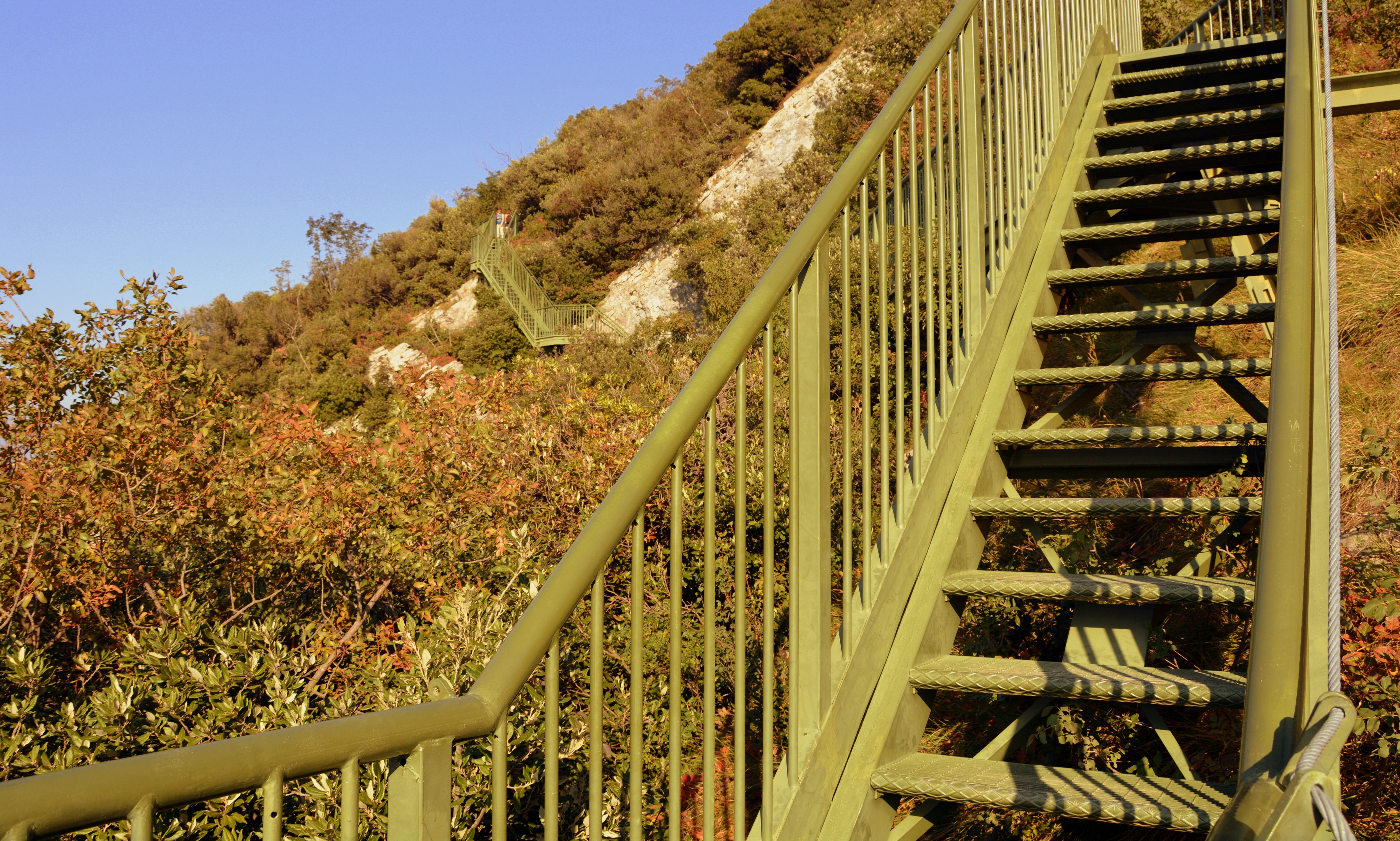 Scale Trail Autumn free image download