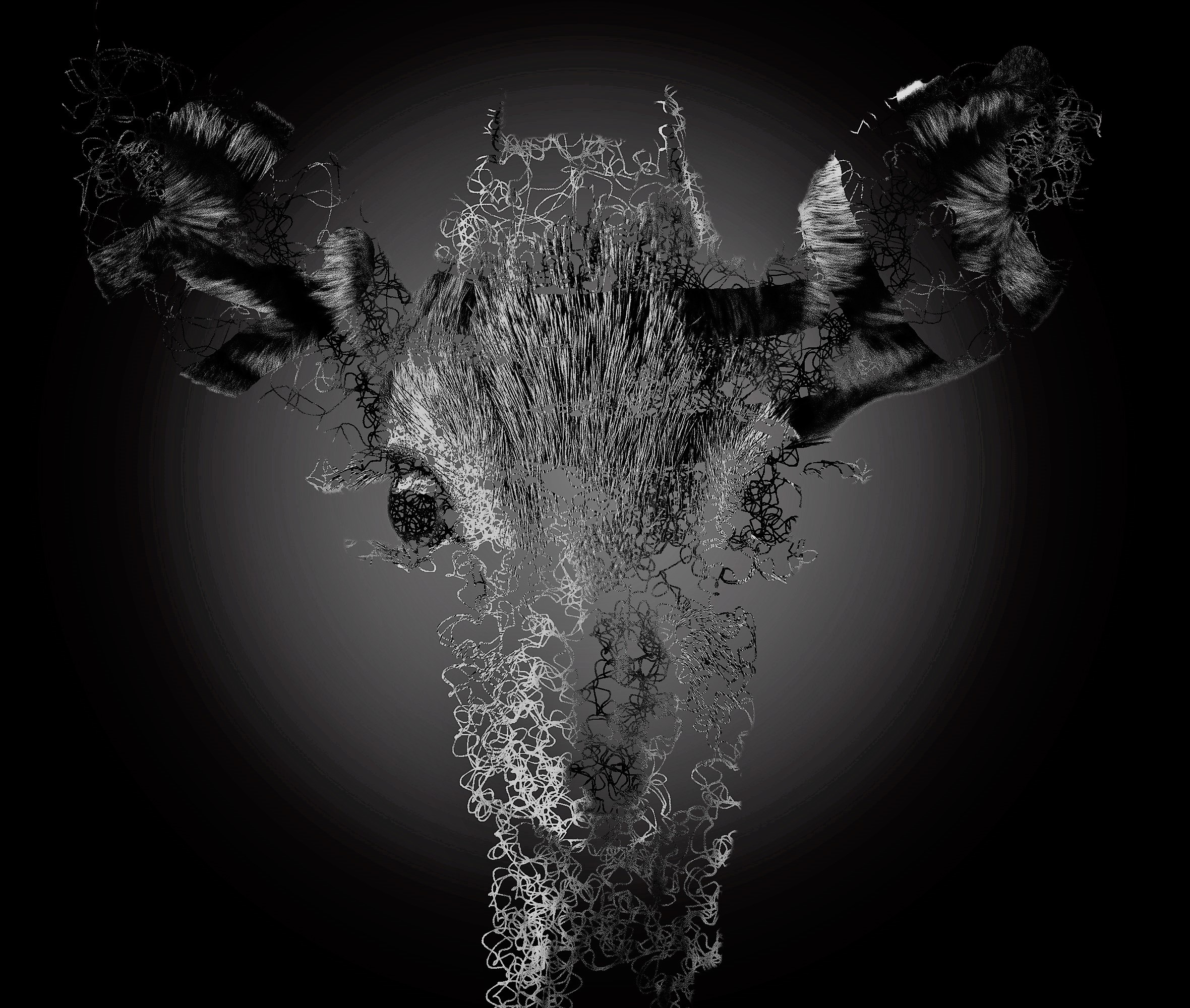 Animal Abstract free image download
