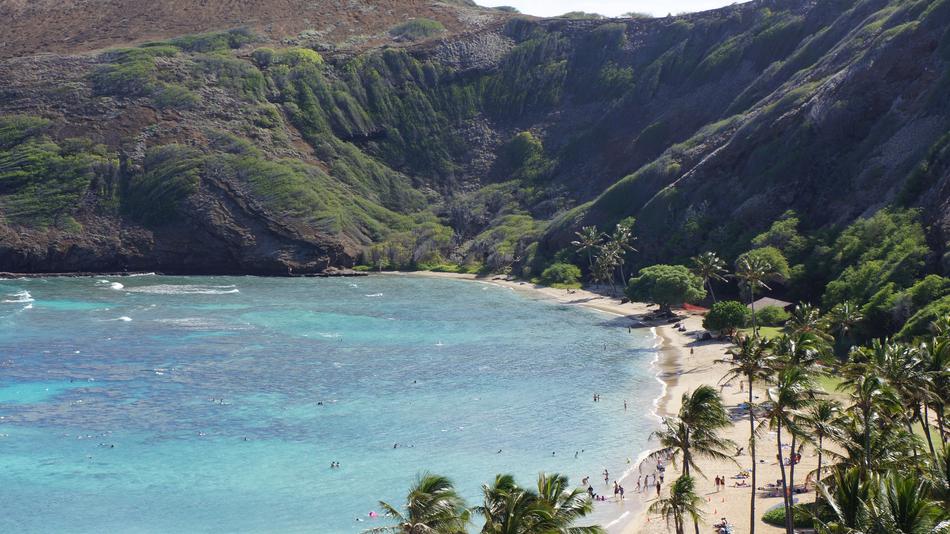 Beach Ocean Blue free image download