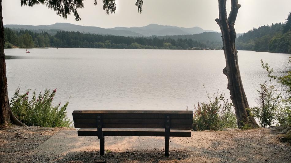 Bench Lake Nature free image download